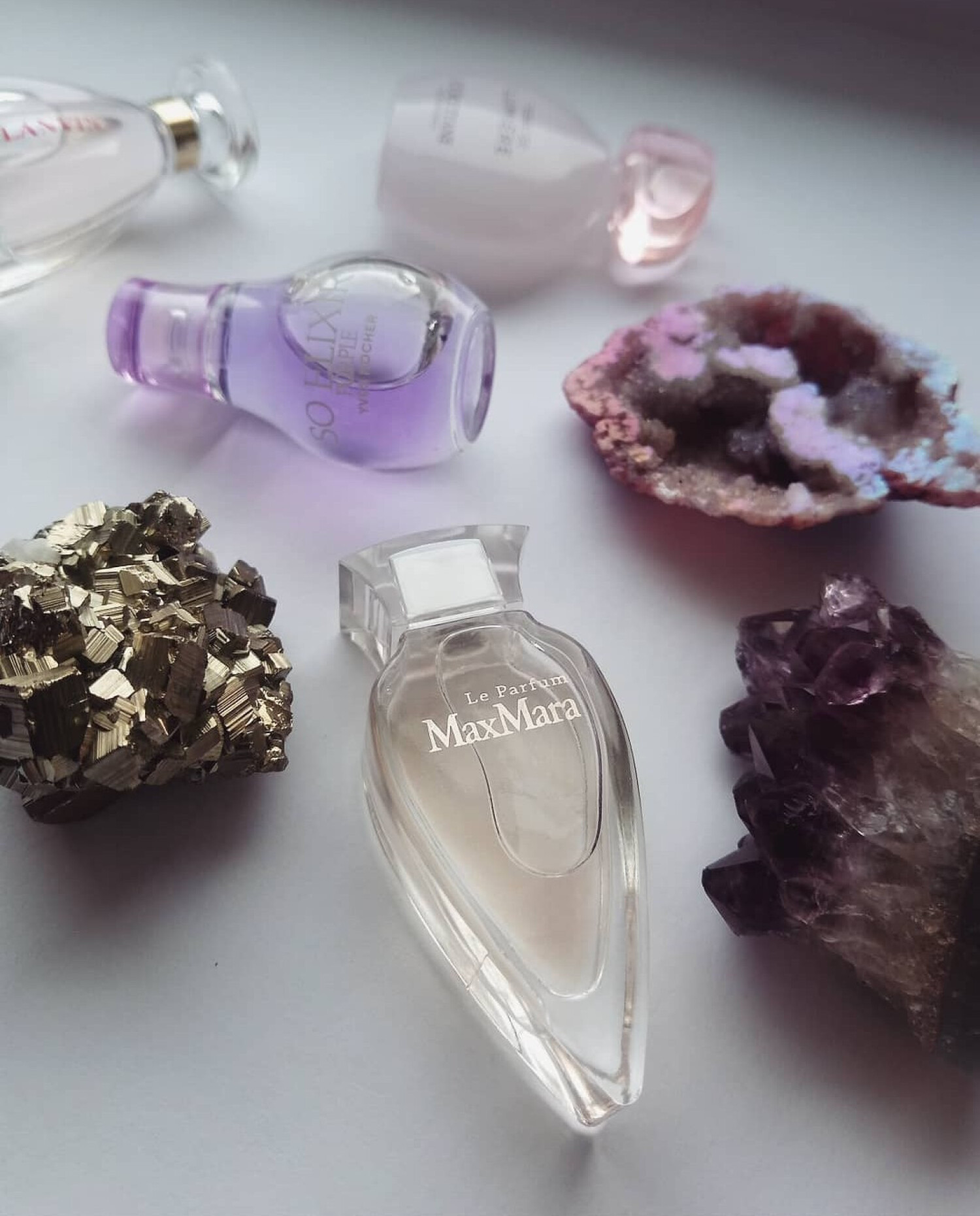 Le Parfum Max Mara perfume - a fragrance for women 2008