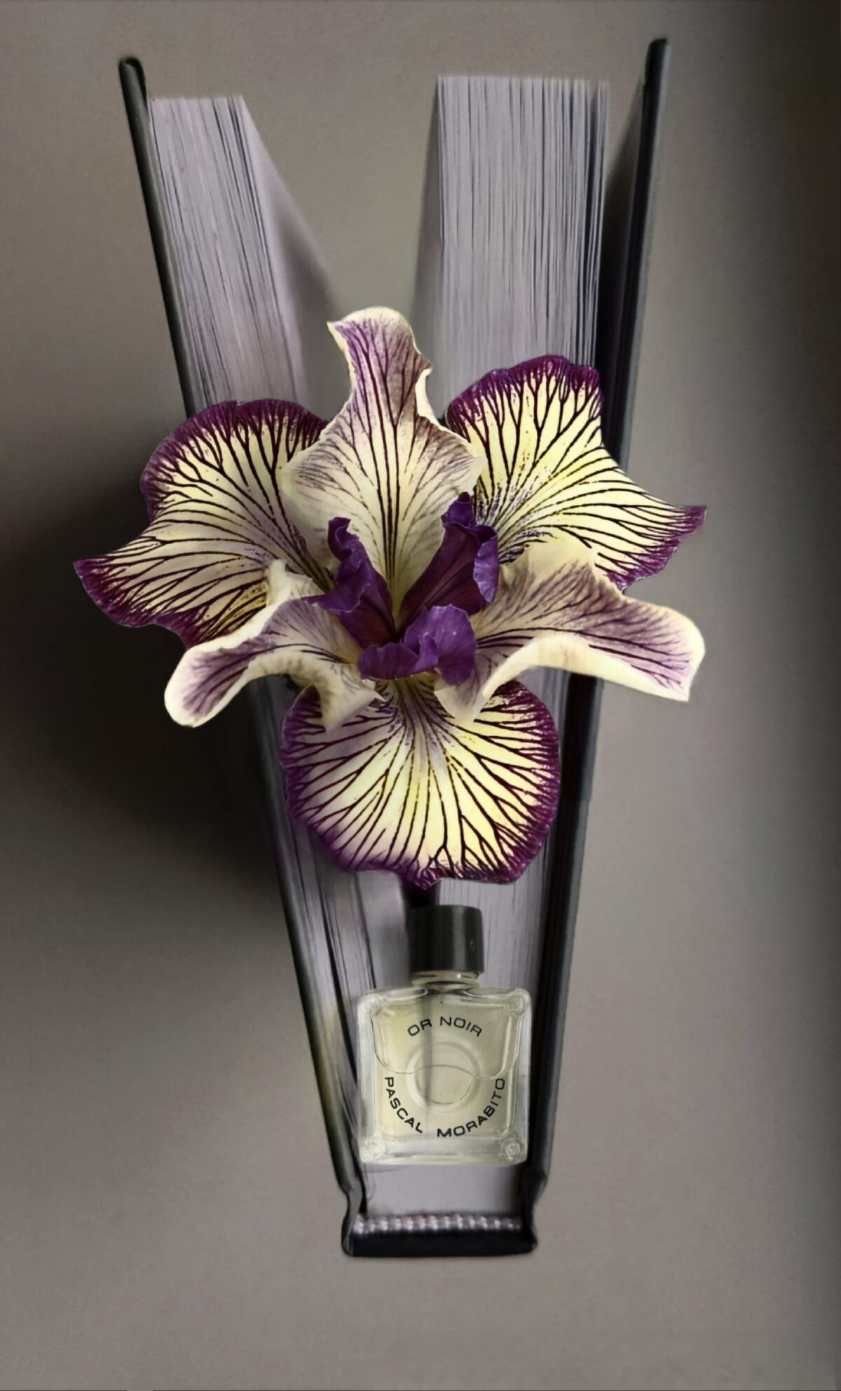 Or Noir Pascal Morabito parfum - een geur voor dames 1980