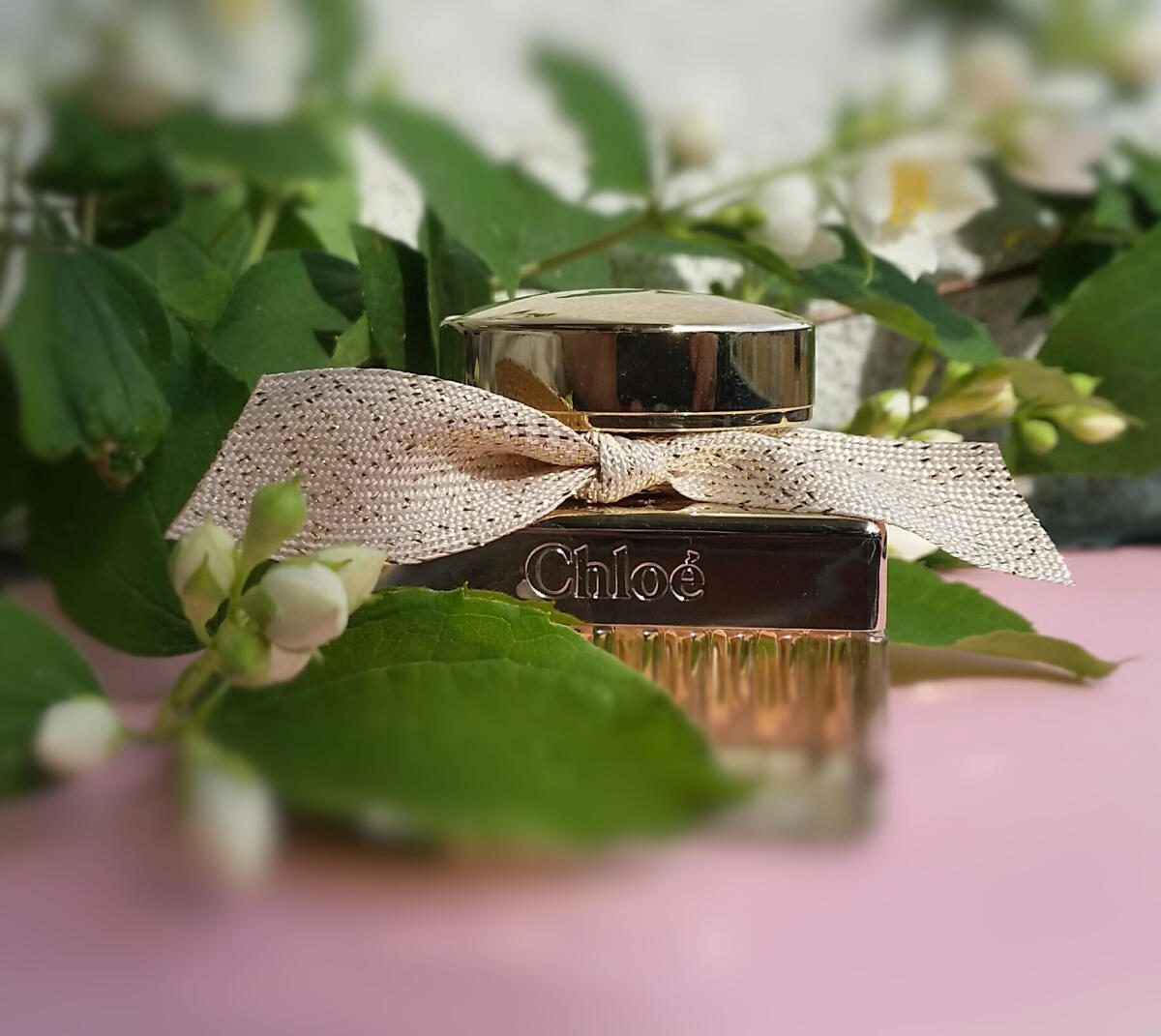 Chloé Eau de Parfum Chloé perfume - a fragrância Feminino 2008