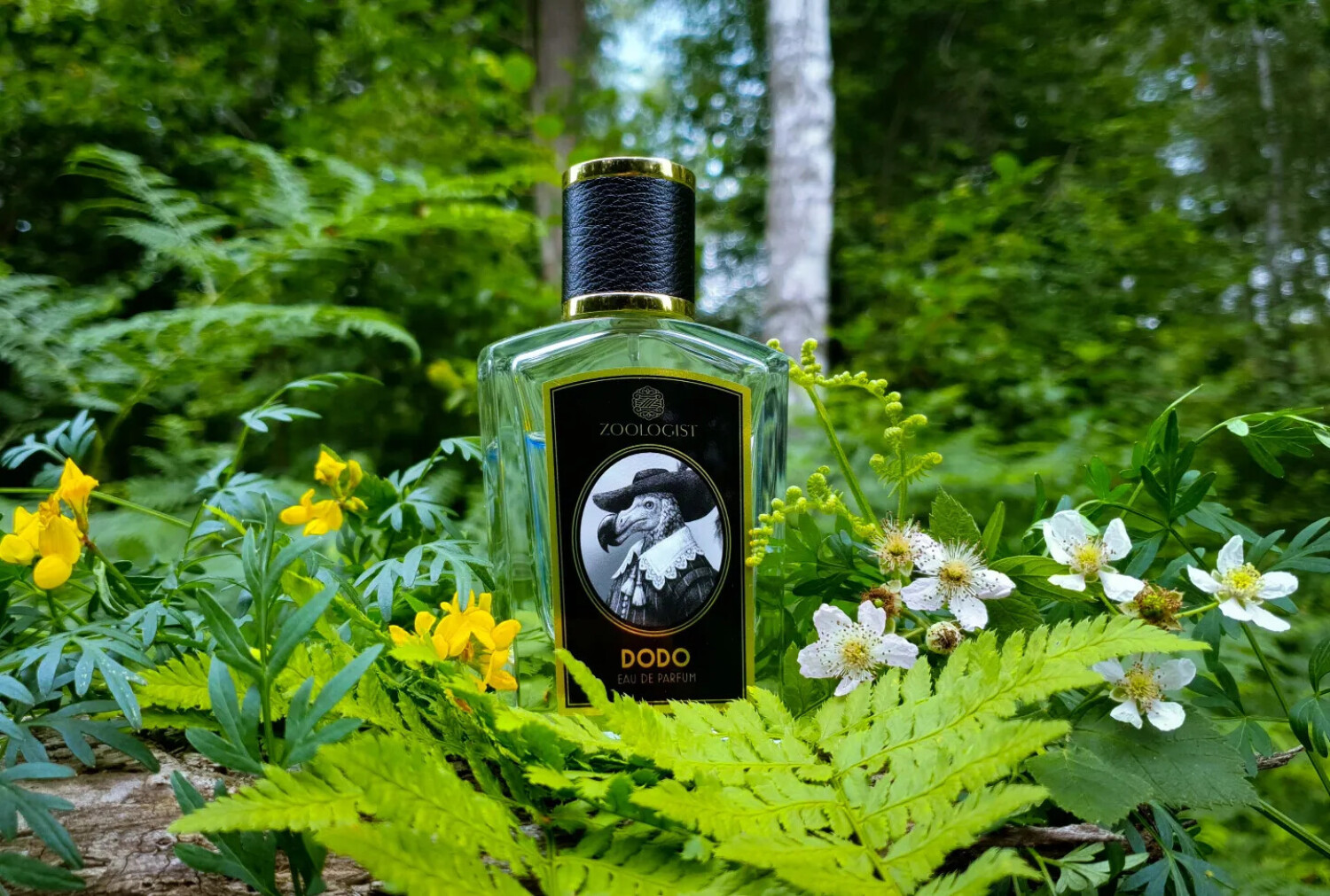 Dodo Zoologist Perfumes parfum - un parfum pour homme et femme 2019