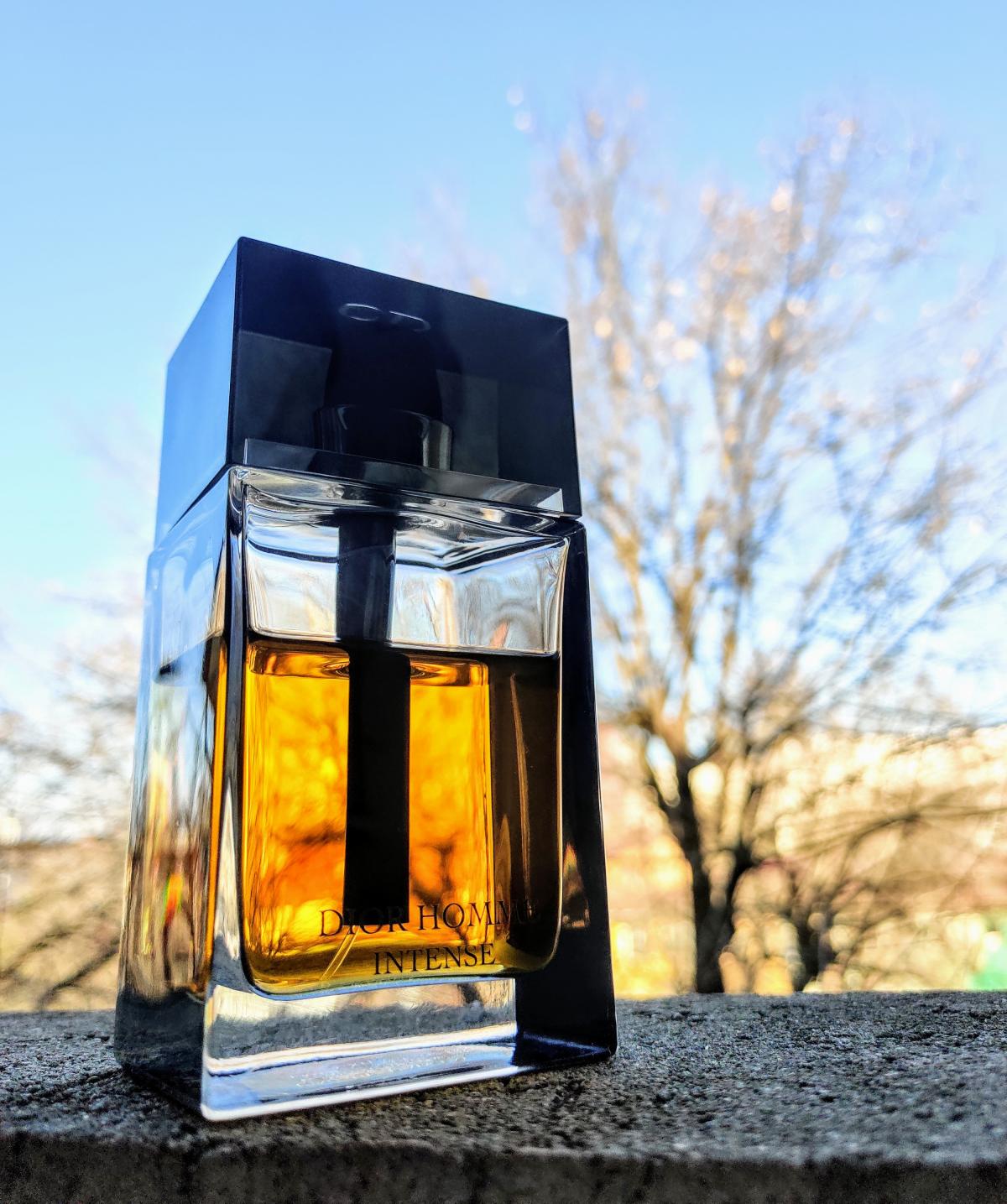 Dior Homme Intense 2011 Dior Colonia - una fragancia para Hombres 2011