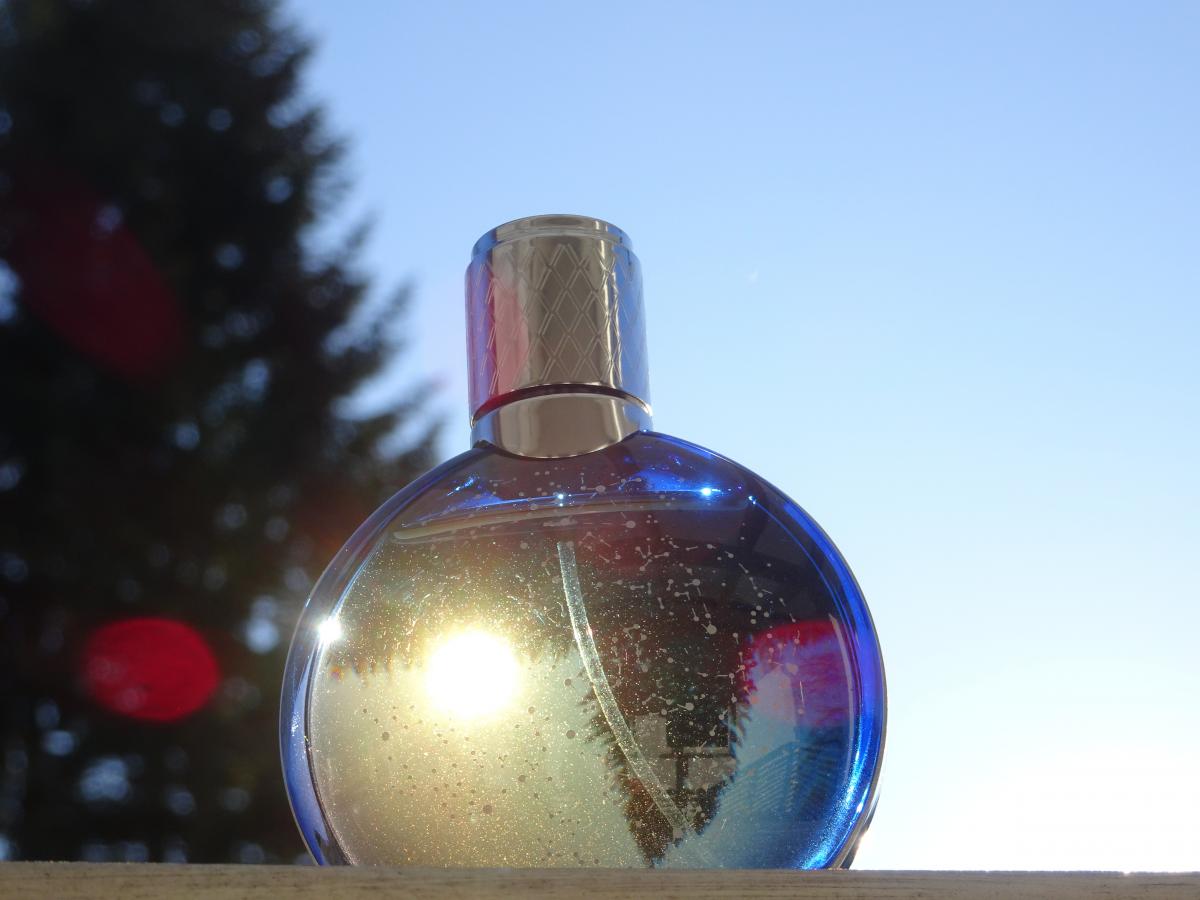 Midnight in Paris Van Cleef & Arpels cologne - a fragrance for men 2010