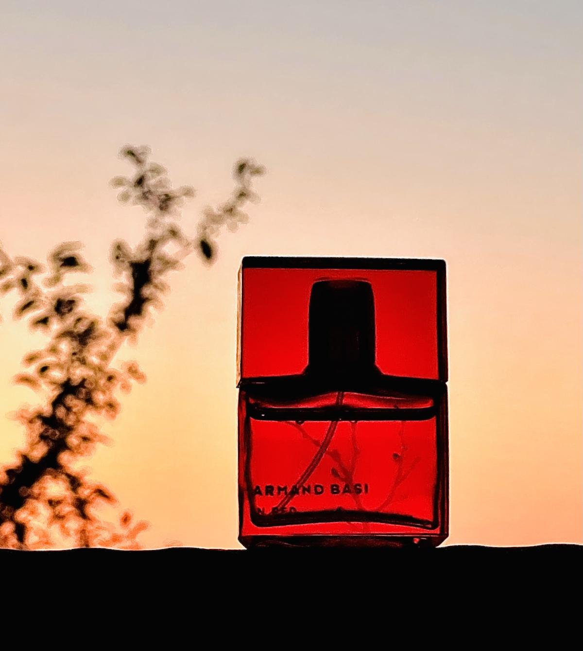 In Red EdP Armand Basi perfume - a fragrance for women 2003