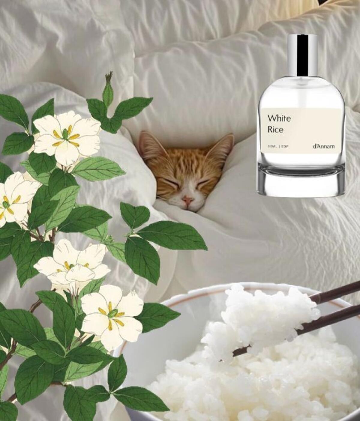 White Rice d'Annam perfume - a fragrance for women and men 2023