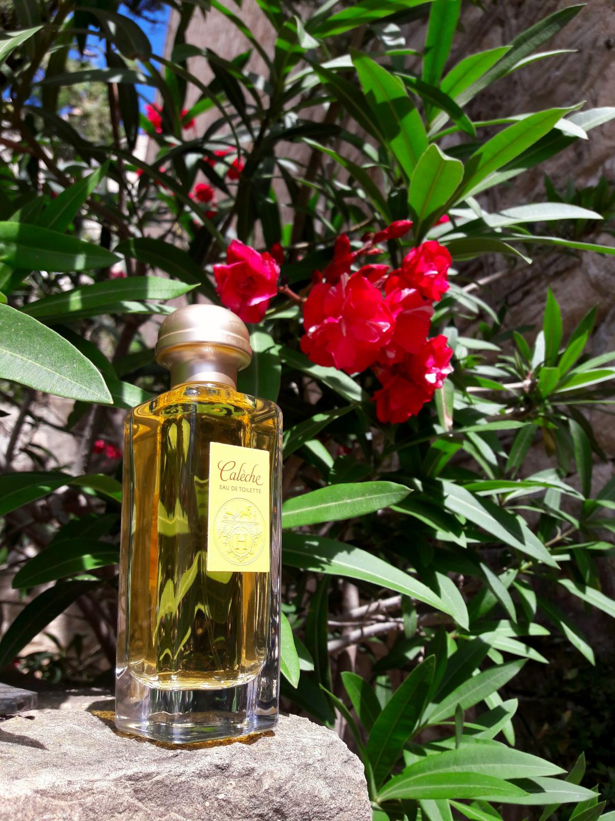 Caleche Hermès perfume - a fragrance for women 1961