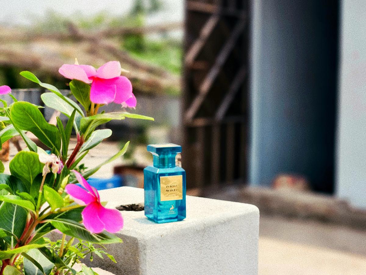 Porto Neroli Maison Alhambra perfume - a fragrance for women and men