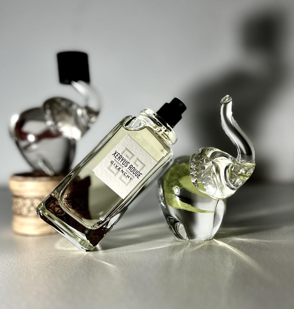 Xeryus Rouge Givenchy Colônia - a fragrância Masculino 1995