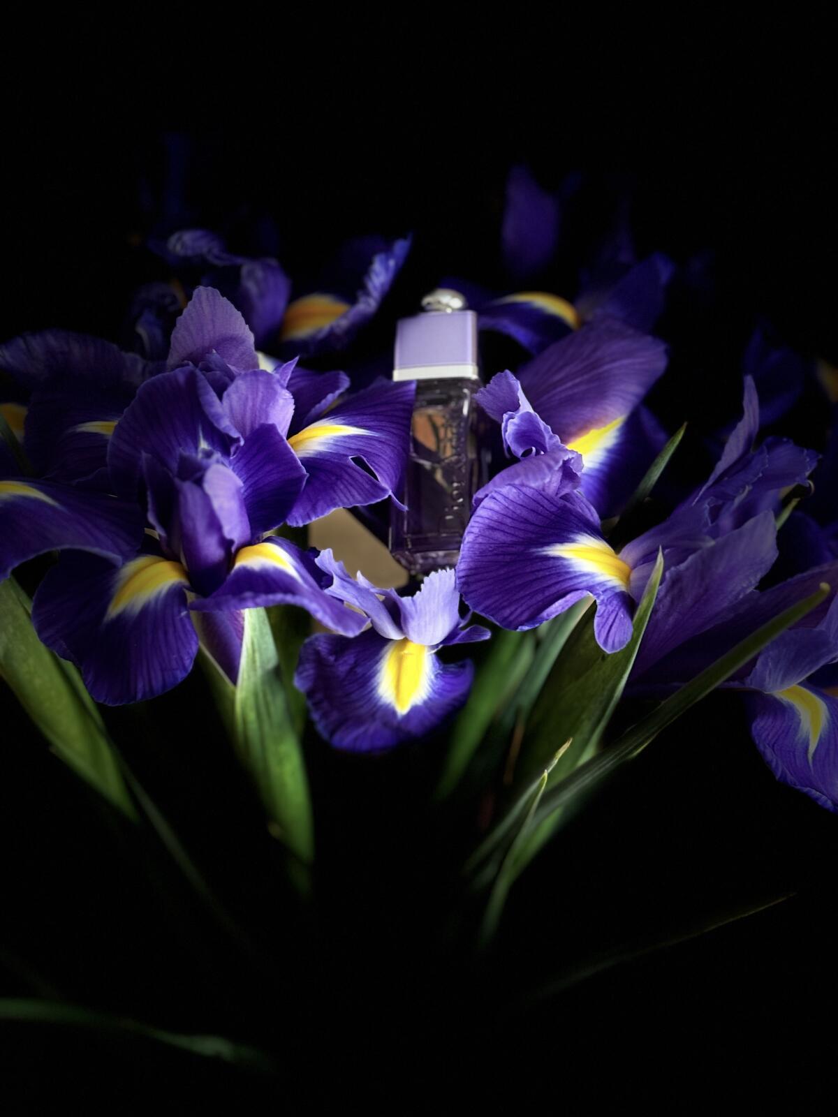 Addict To Life Dior perfume - a fragrance for women 2011