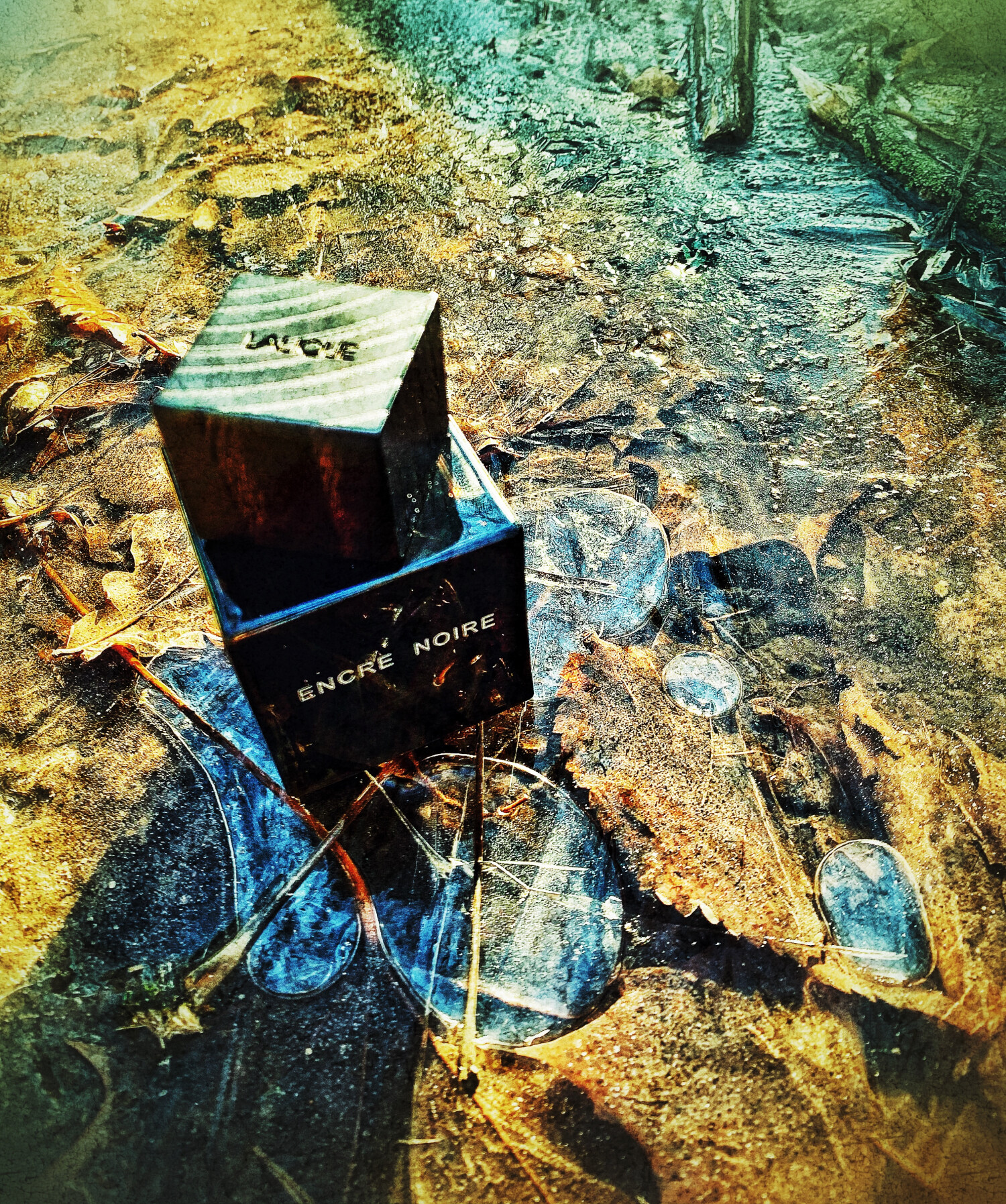 Encre Noire Lalique cologne - a fragrance for men 2006