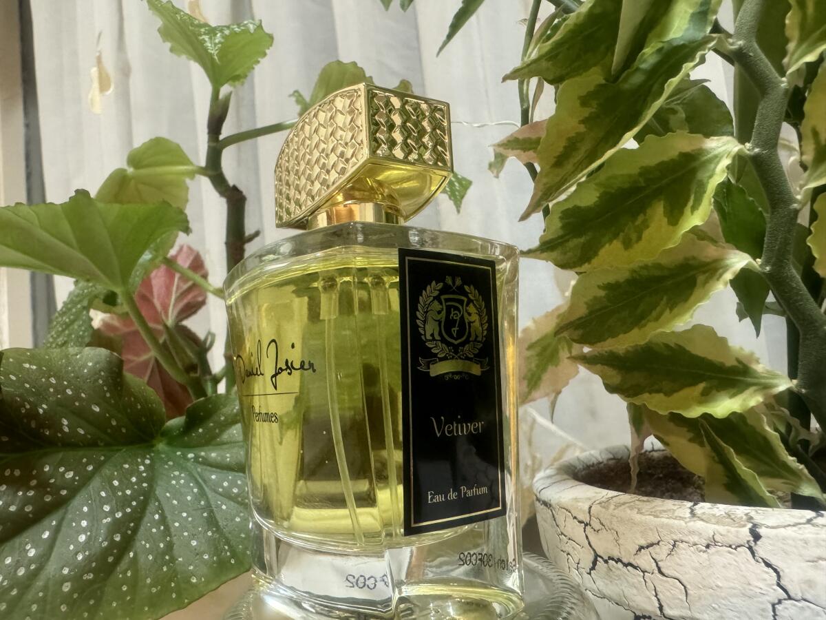 Vetiver Daniel Josier perfume - a fragrance for women and men