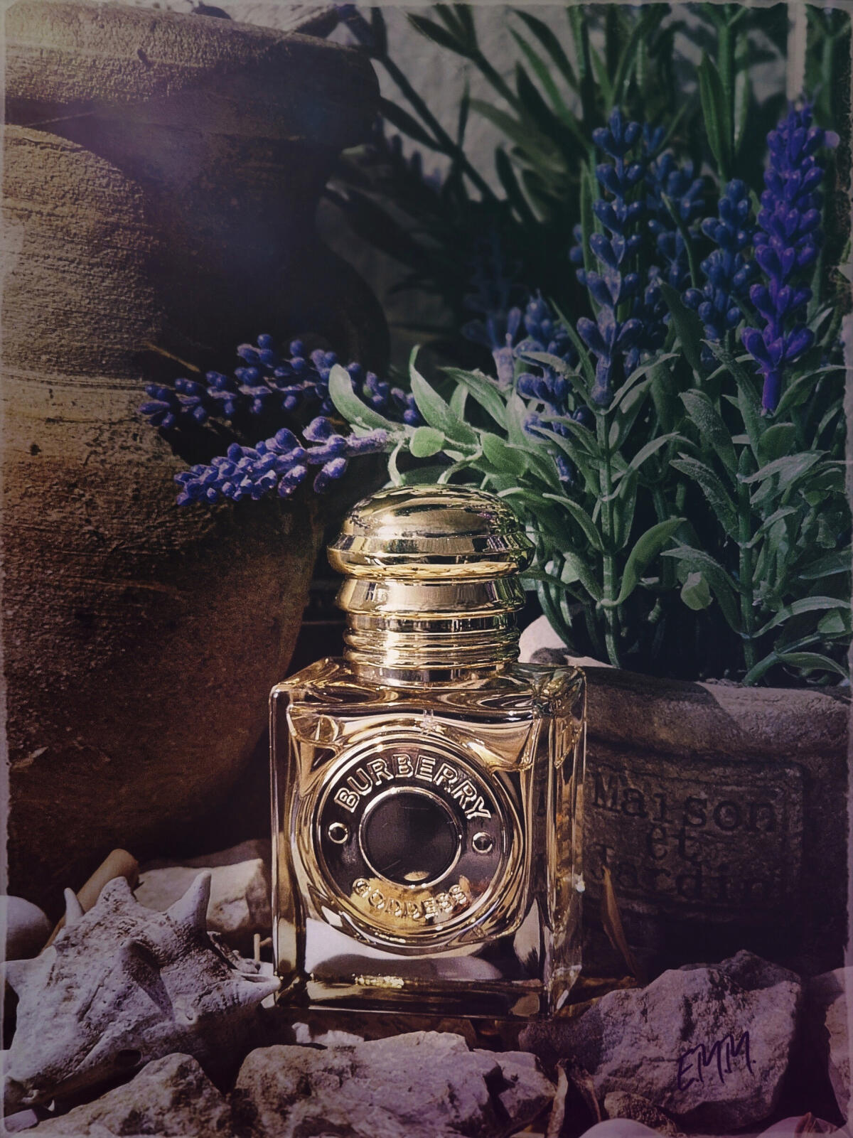 Goddess Burberry perfume - a new fragrance for women 2023