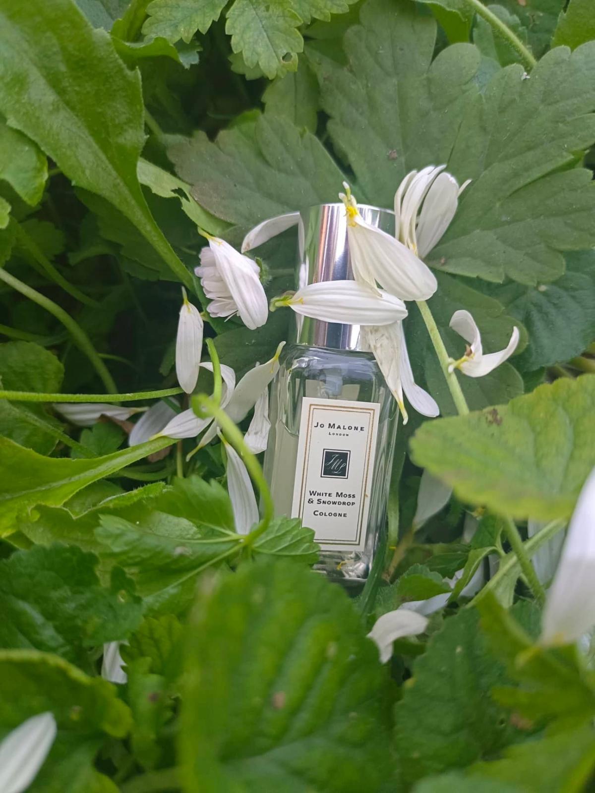 White Moss & Snowdrop Jo Malone London perfume - a fragrance for women ...