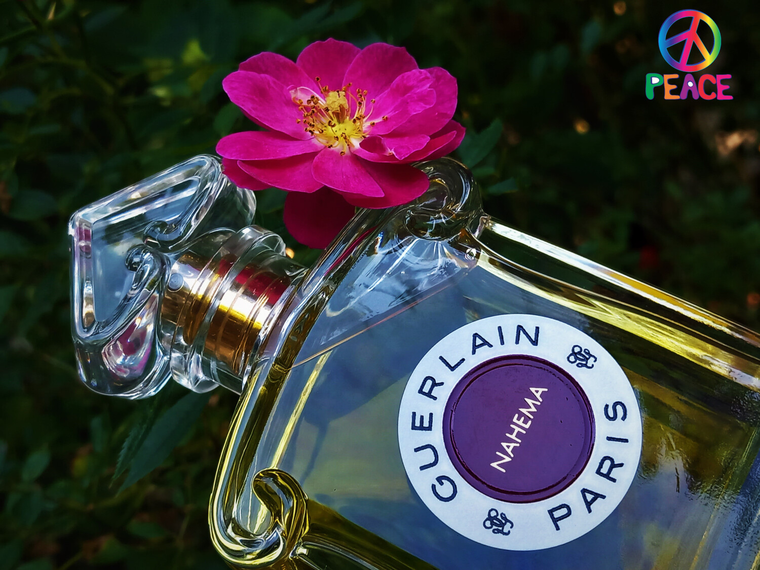 Nahema Eau de Parfum Guerlain perfume - a fragrance for women 2021