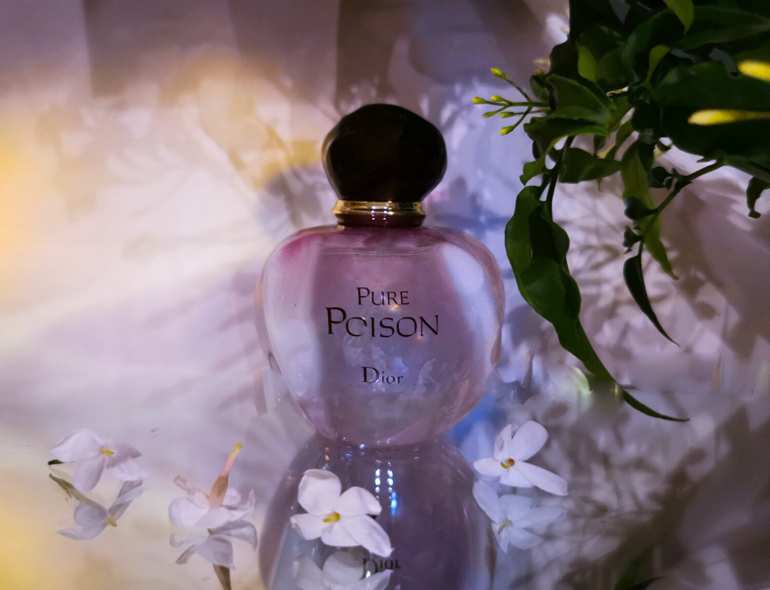 Pure Poison Dior perfume - a fragrance for women 2004