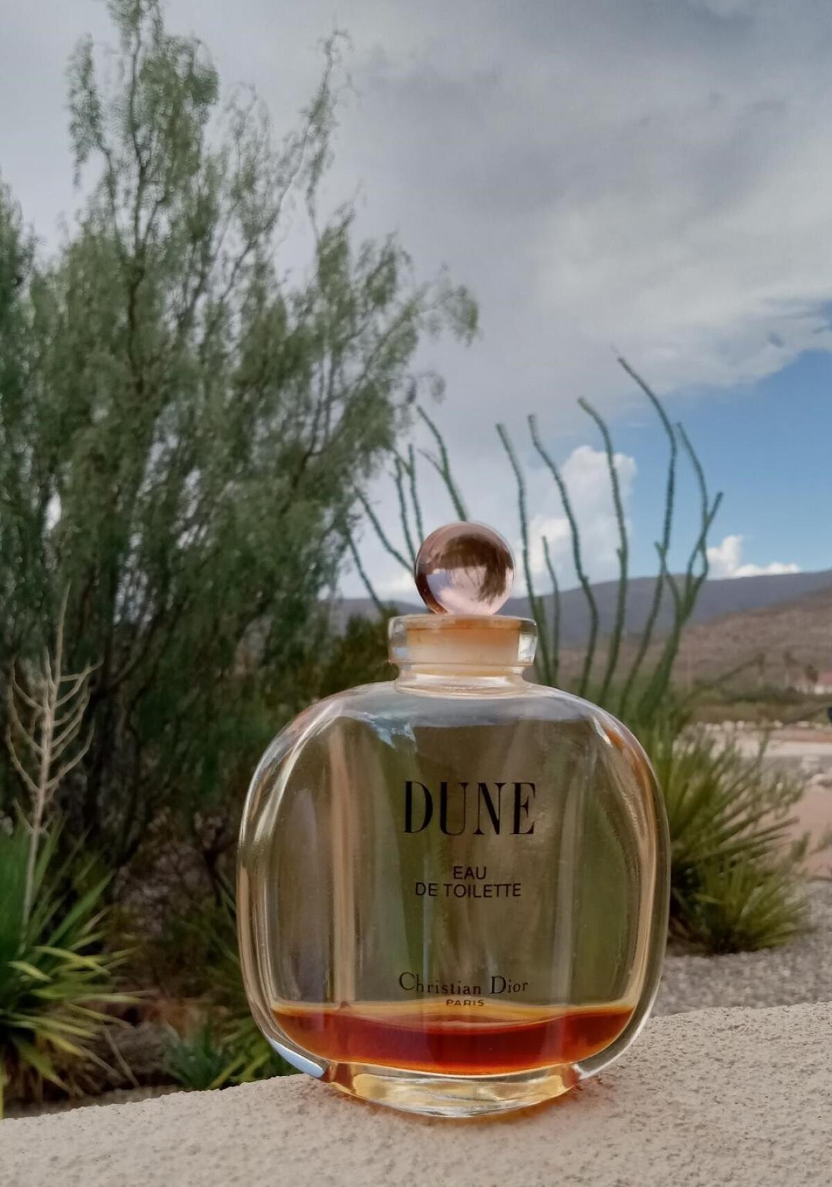 Dune Dior parfum - un parfum pour femme 1991