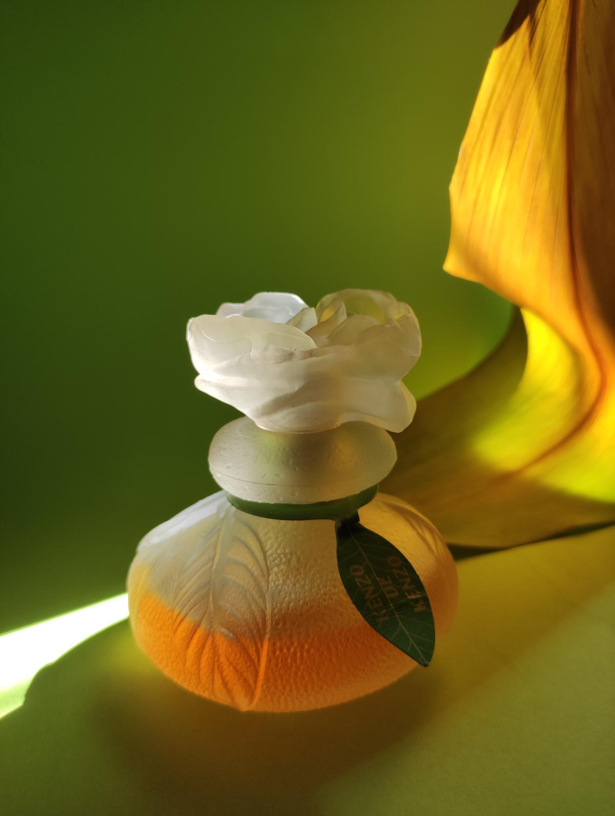 Kenzo Kenzo perfume - a fragrance for women 1988