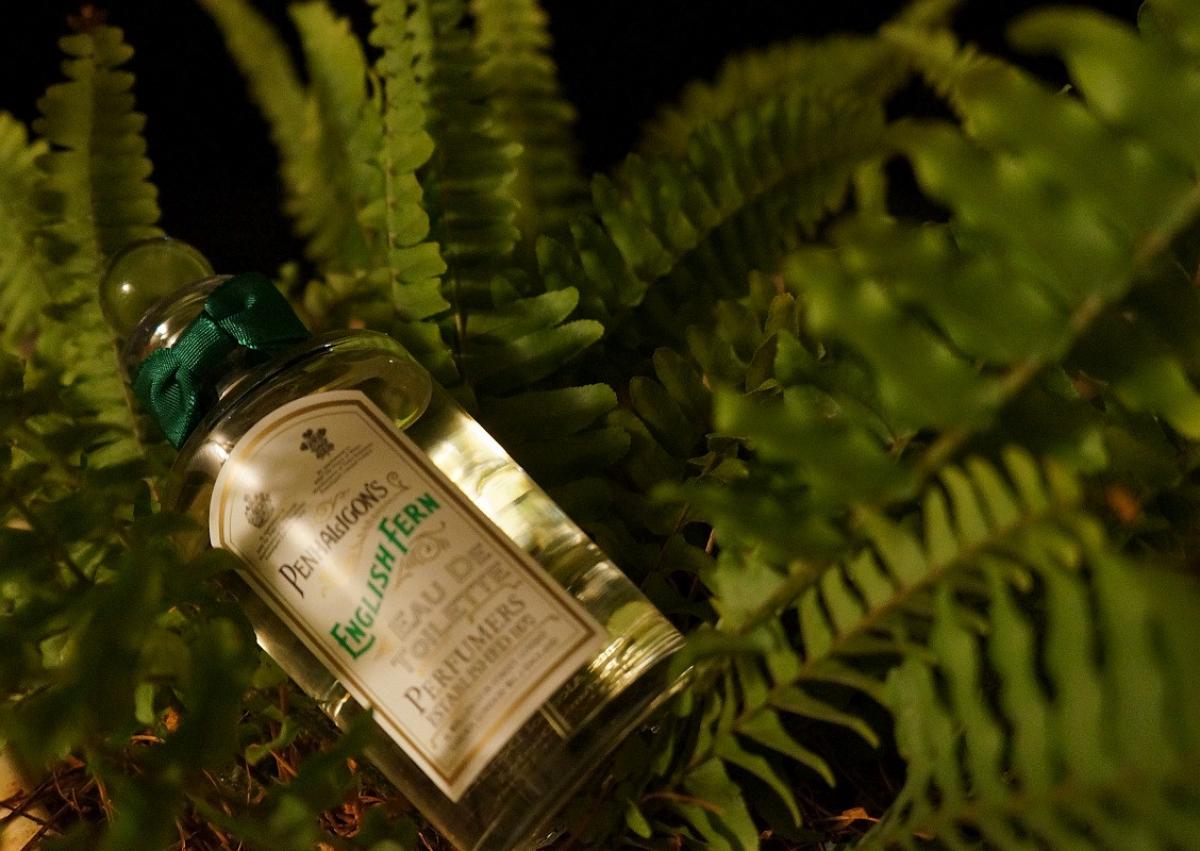 English Fern Penhaligon's perfume - a fragrance for women and men 1890