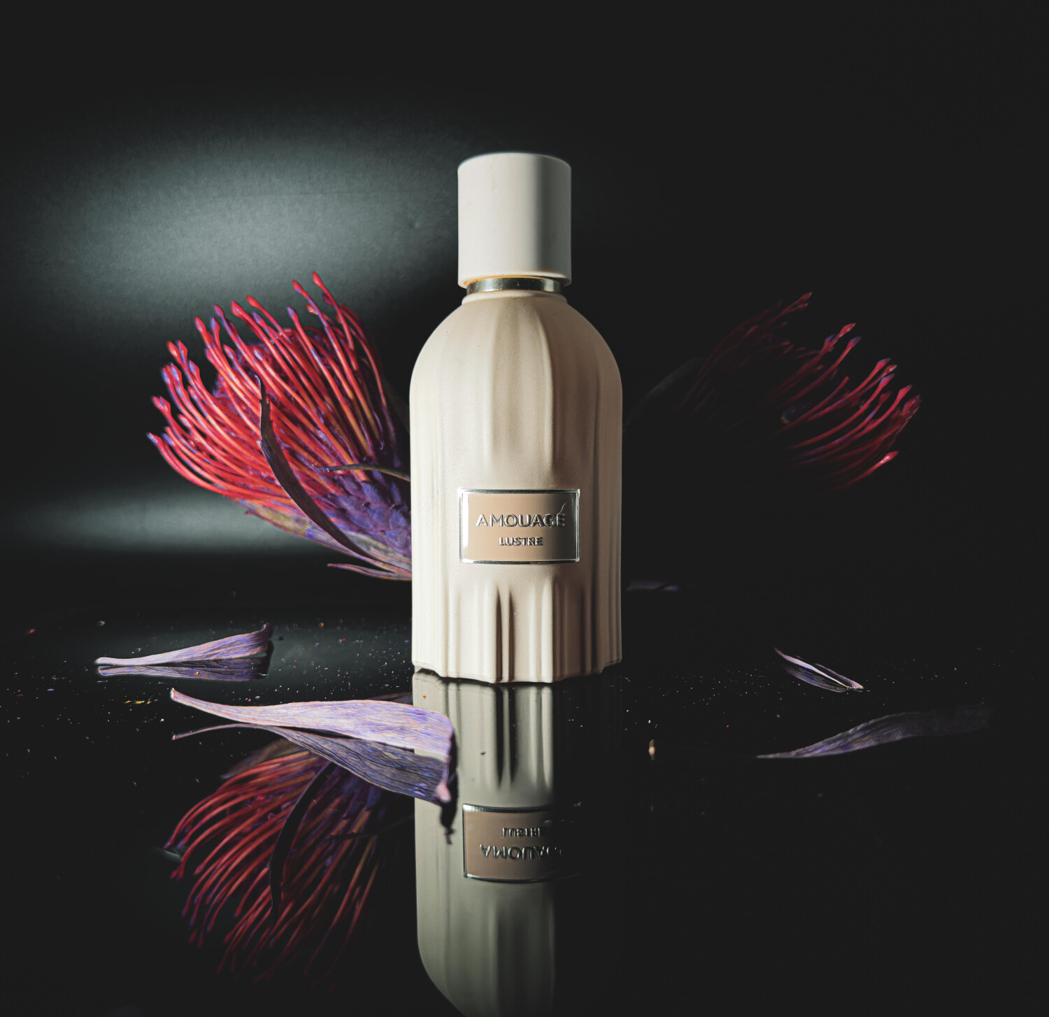 Lustre Amouage perfume - a new fragrance for women and men 2024