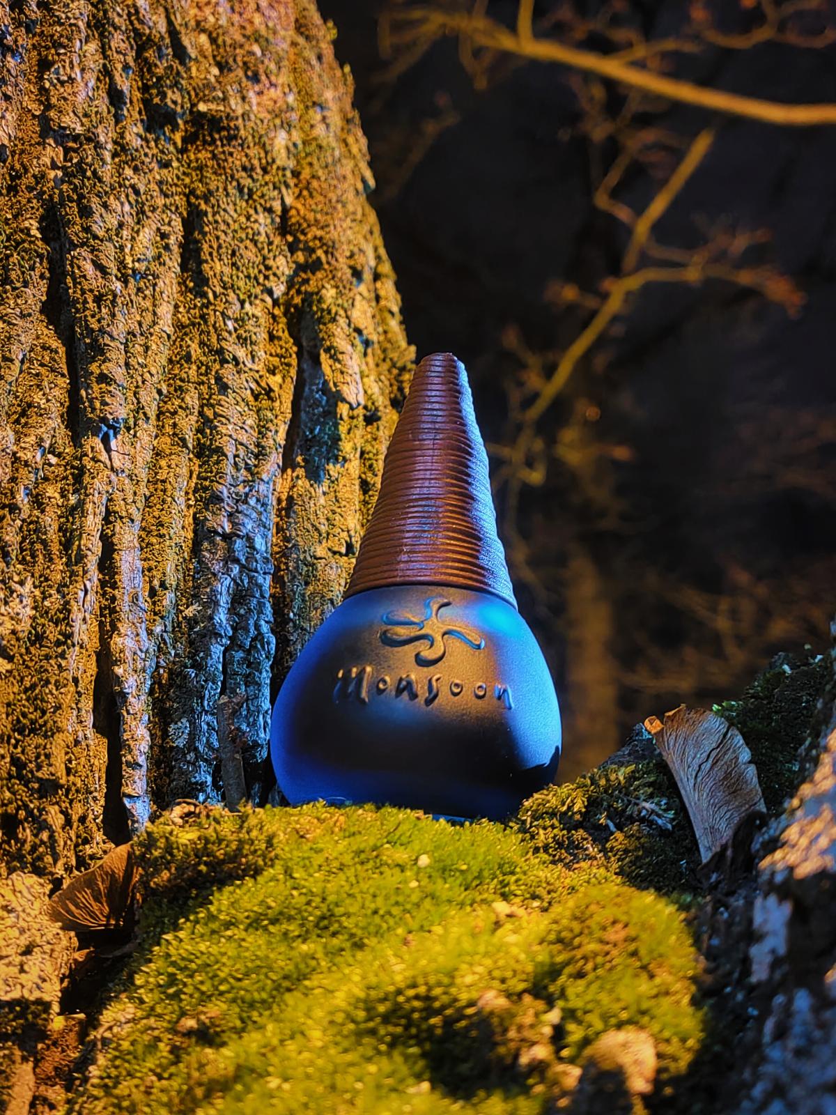 Monsoon (original) Monsoon perfume - a fragrance for women 1994