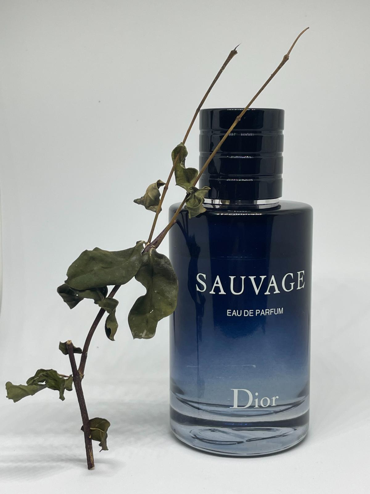 Sauvage Eau de Parfum Dior cologne - a fragrance for men 2018