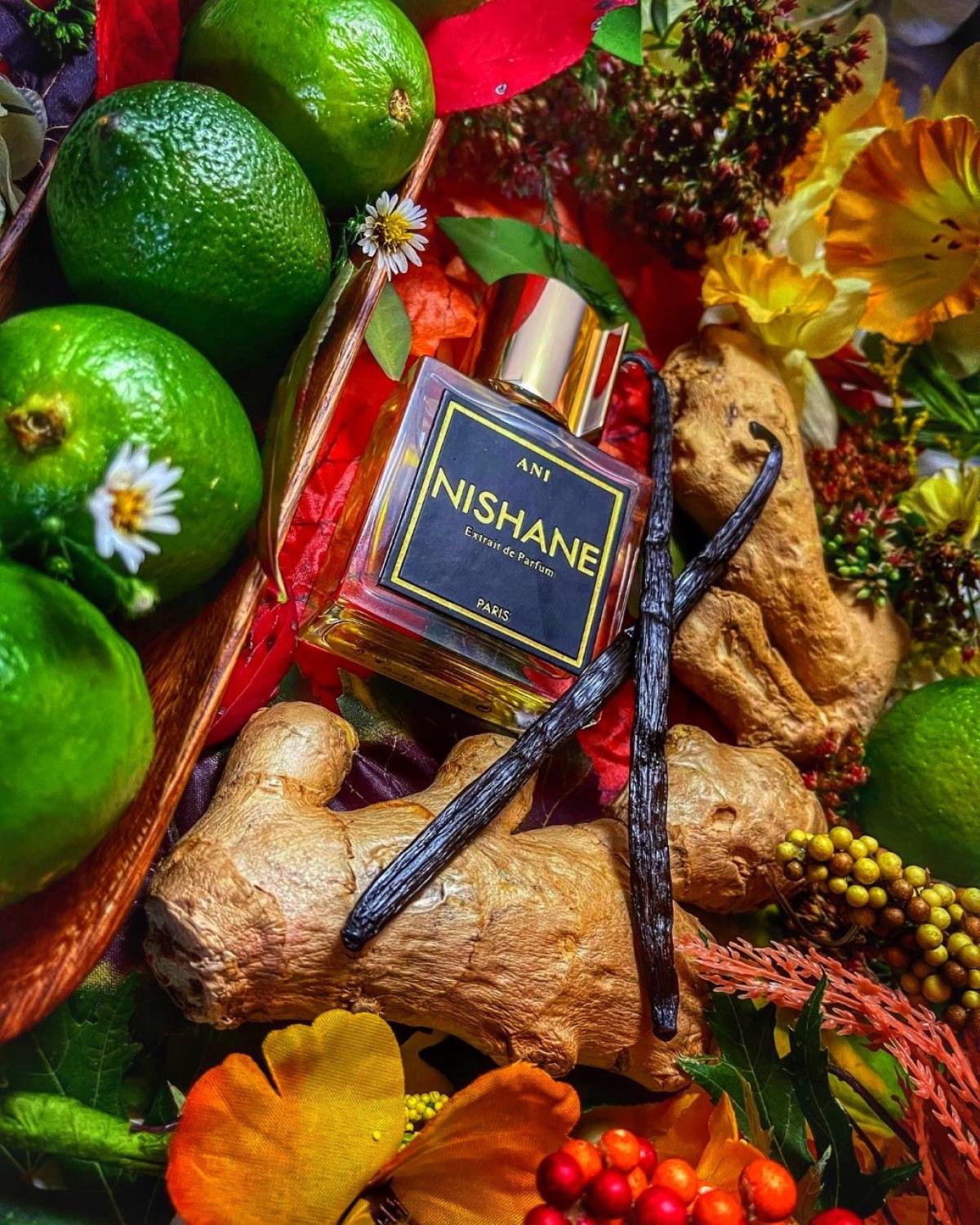 Ani Nishane perfume - a fragrance for women and men 2019