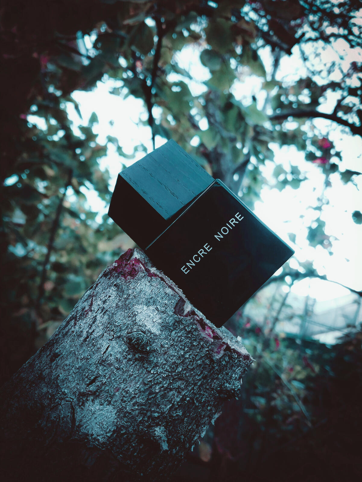 Encre Noire Lalique одеколон — аромат для мужчин 2006