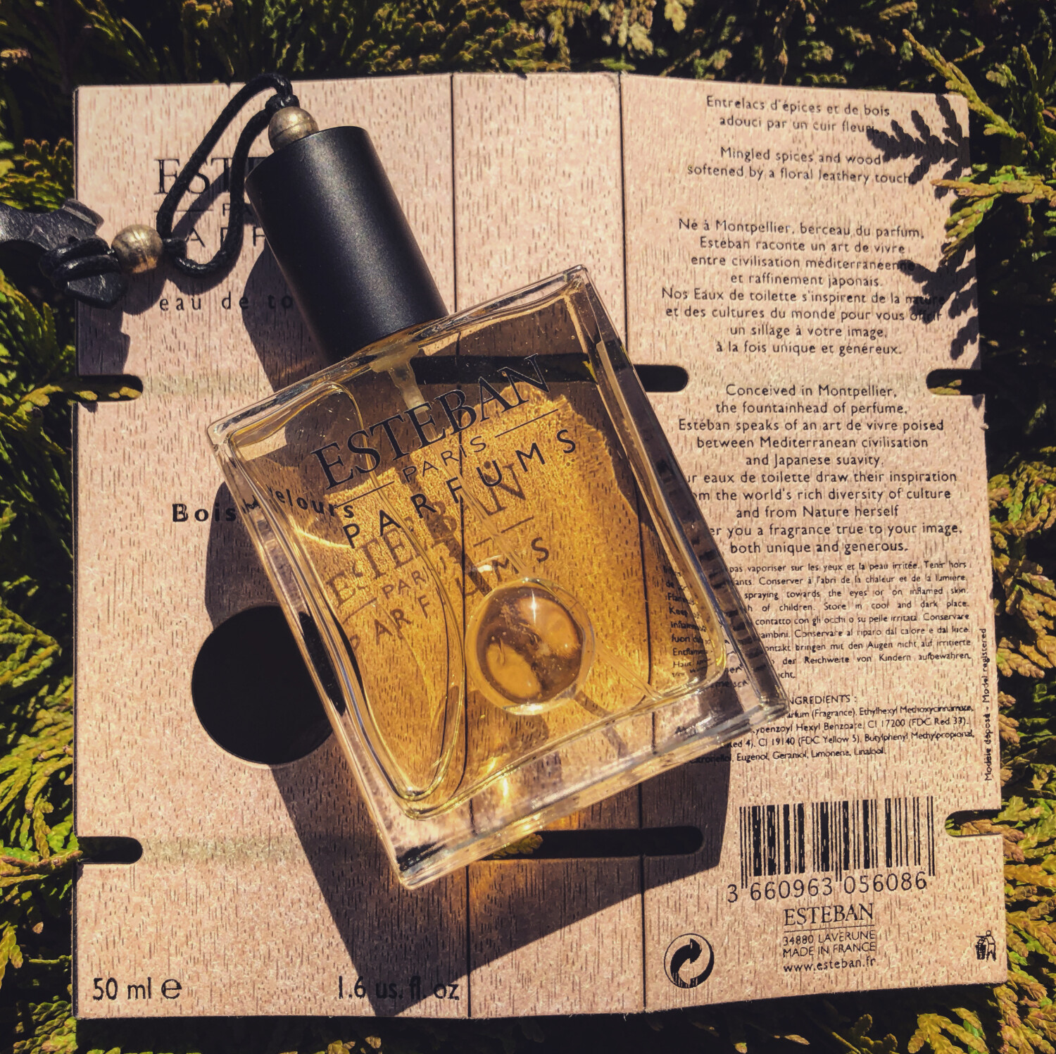 Bois Velours Esteban cologne - a fragrance for men