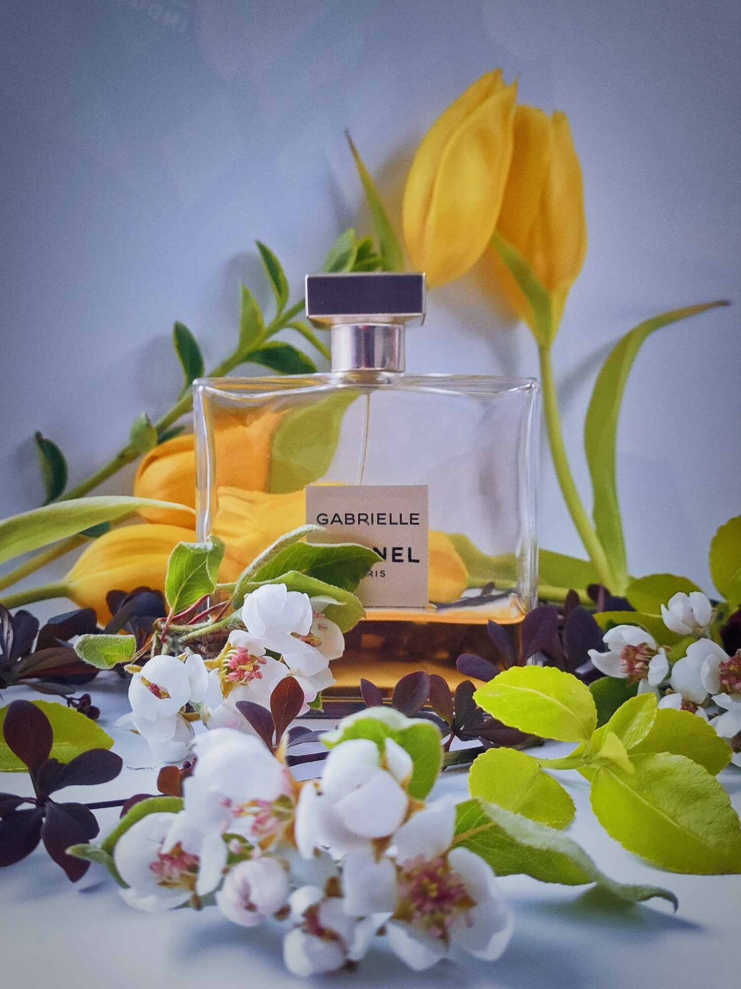 Gabrielle Chanel perfume - a fragrance for women 2017