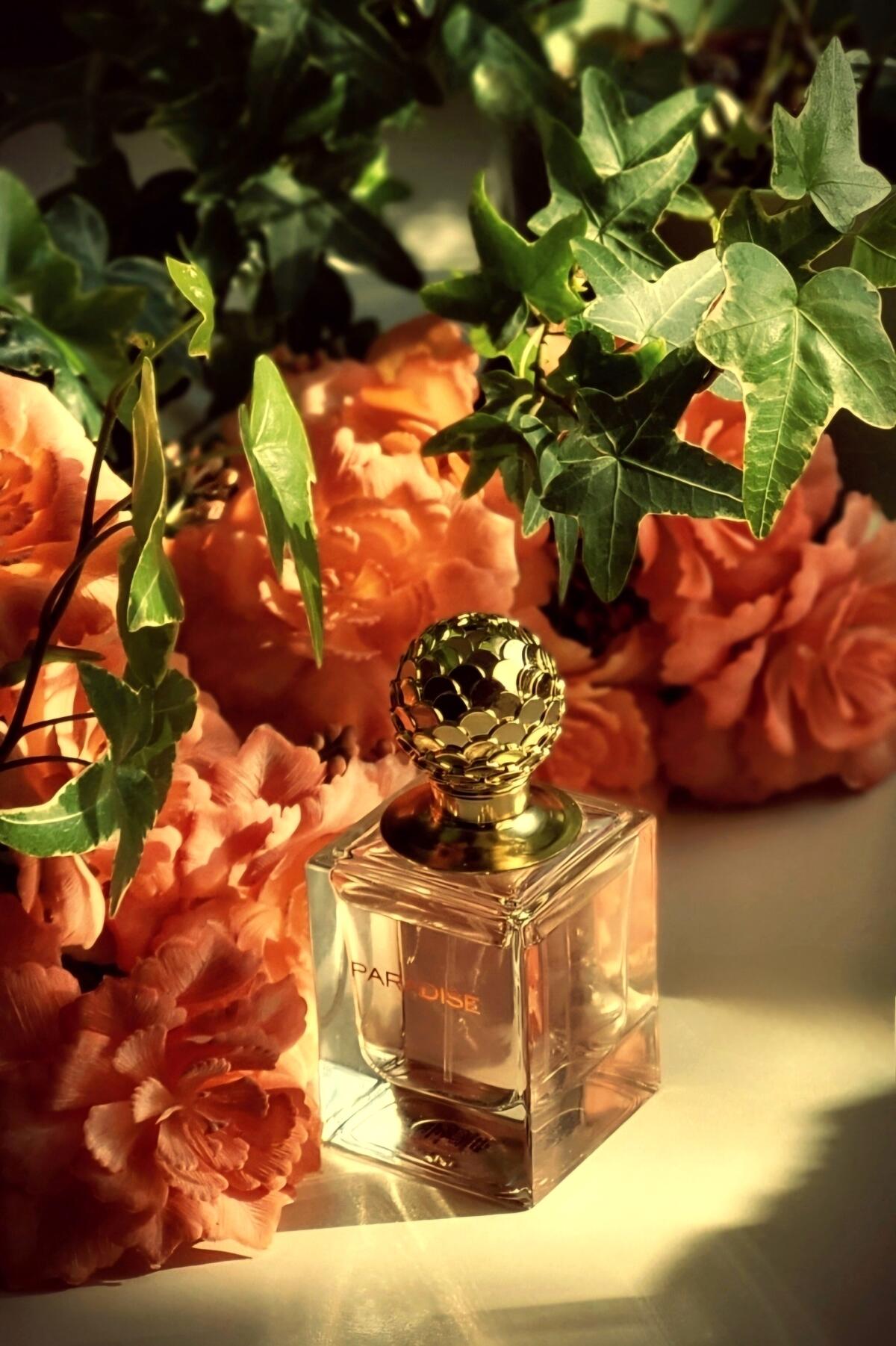 Paradise Oriflame perfume - a fragrância Feminino 2011