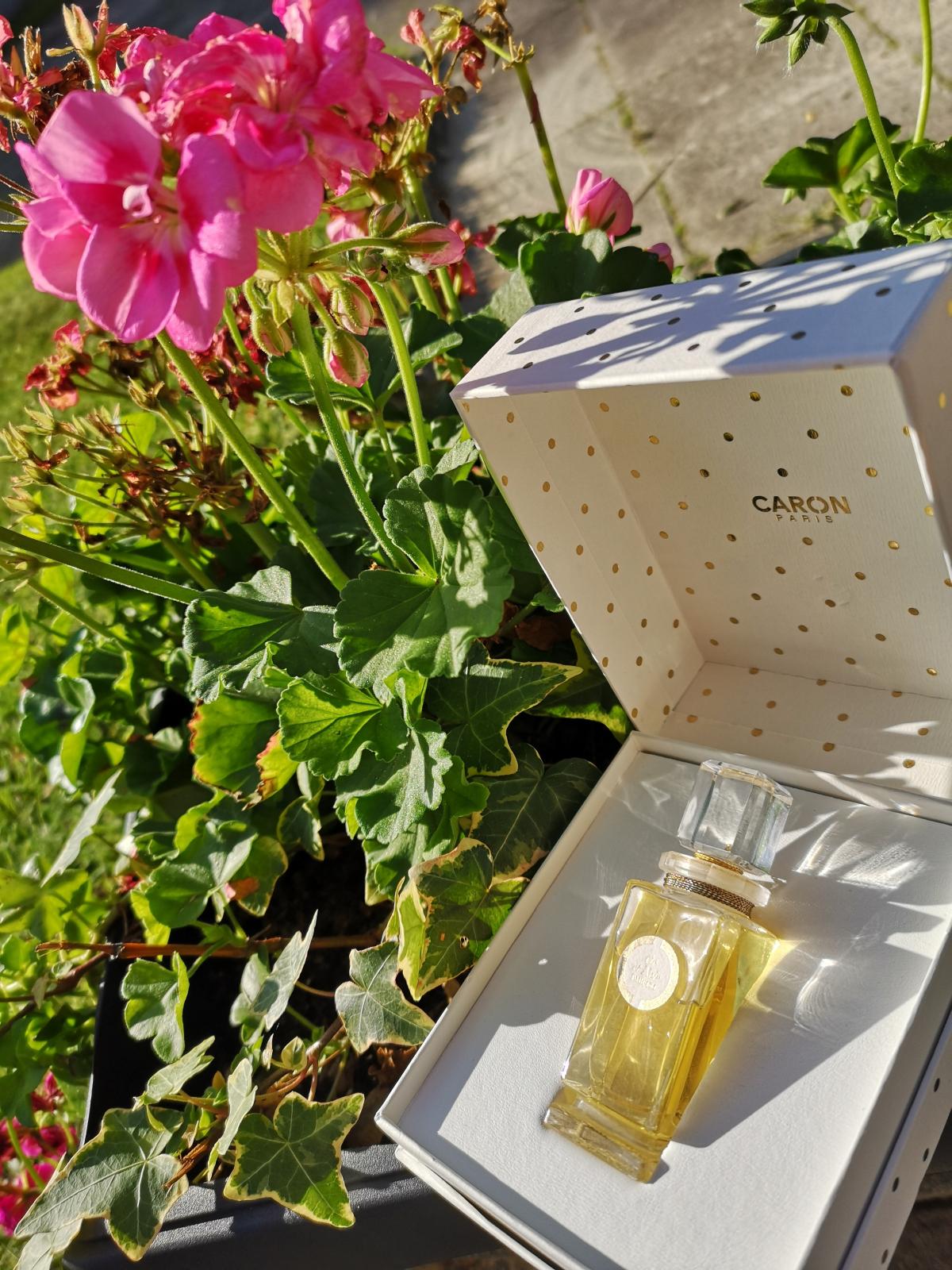 Or et Noir Caron perfume - a fragrance for women 1949