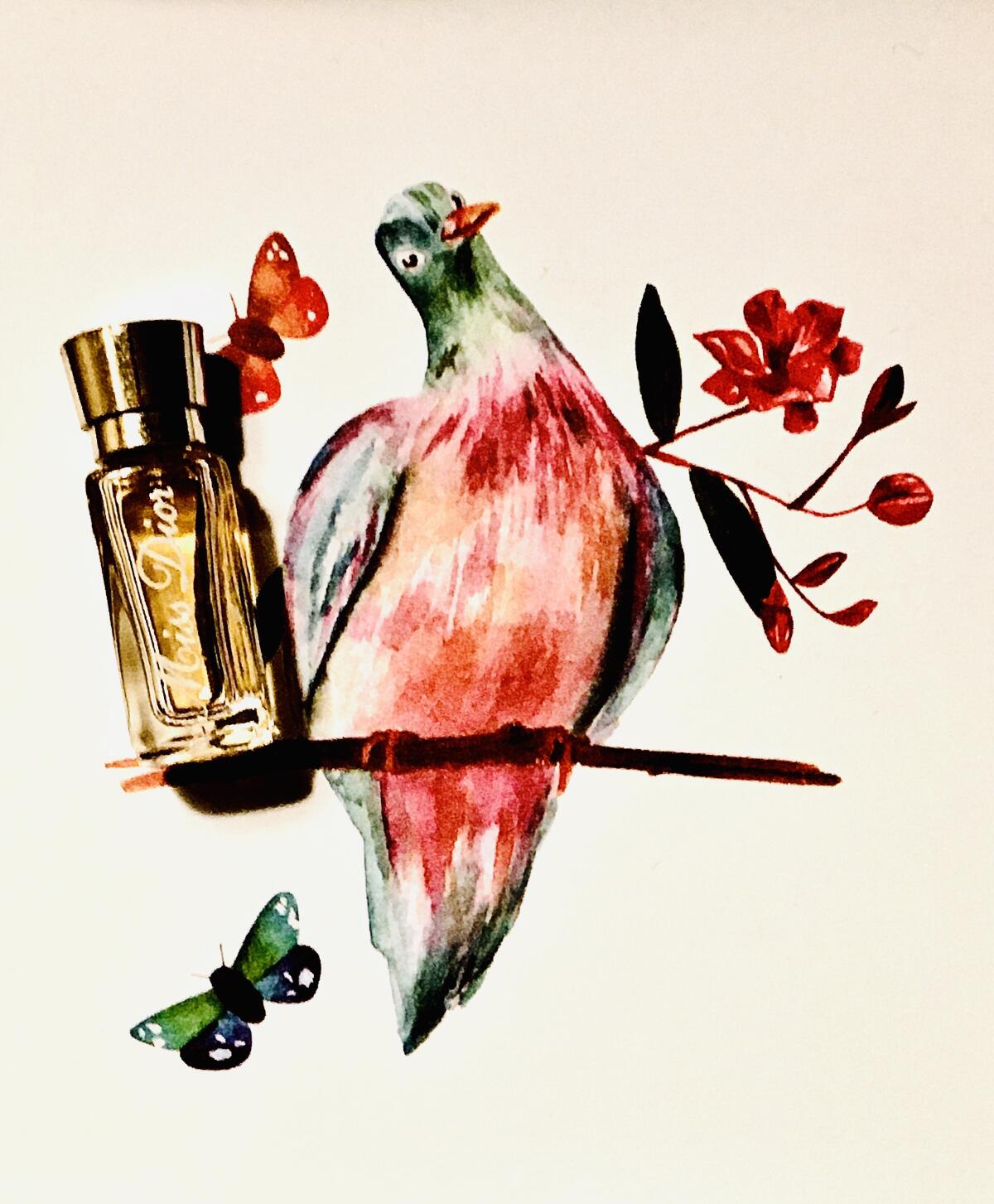 Miss Dior Original Extrait de Parfum Dior perfume - a fragrance for ...