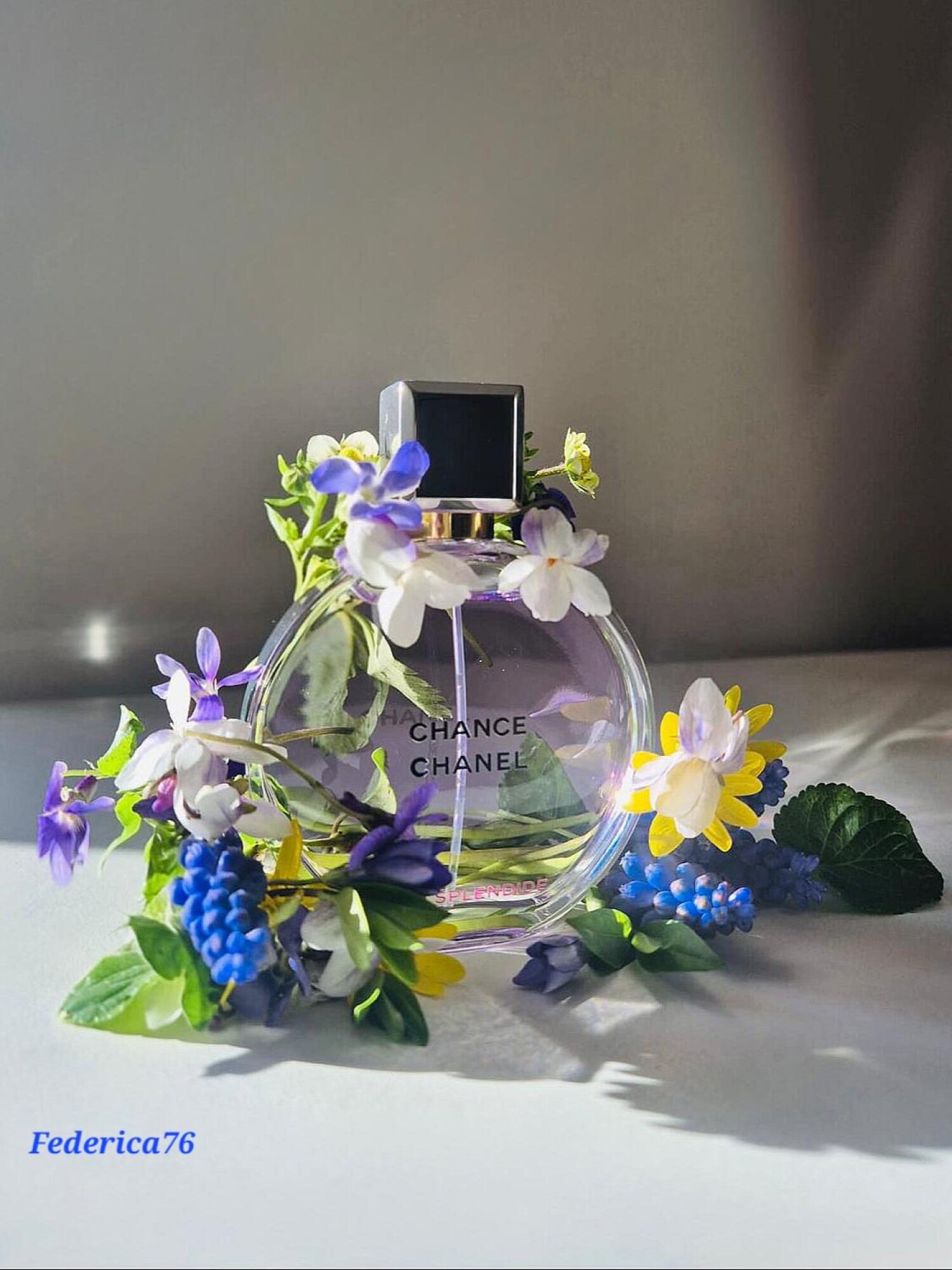 Chance Eau Splendide Chanel perfume - a new fragrance for women 2025