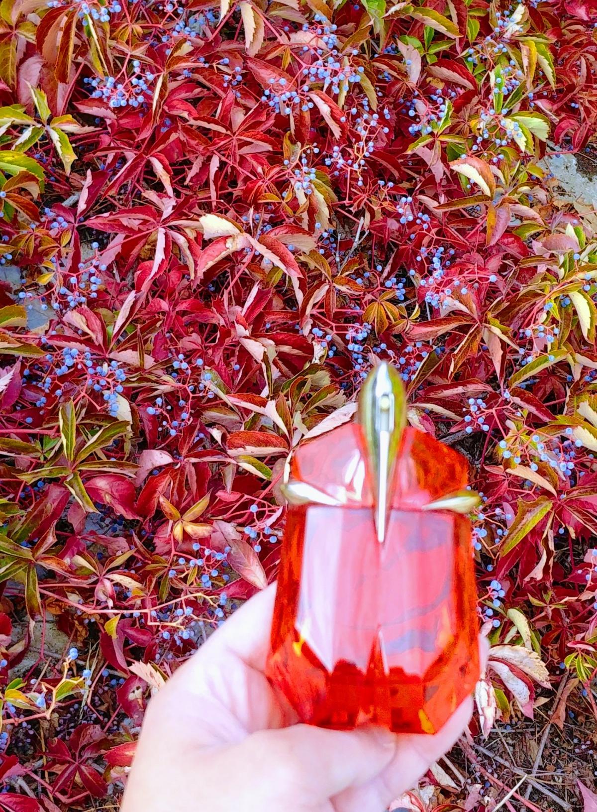 Alien Fusion Mugler perfume - a fragrance for women 2019