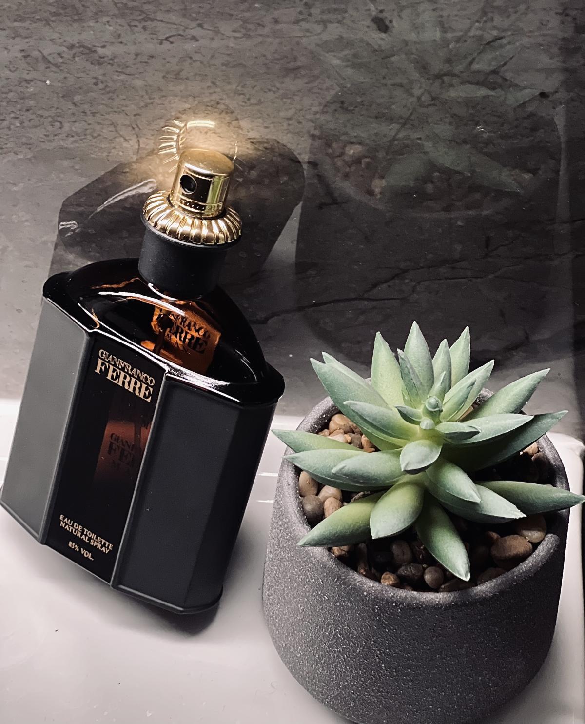 Gianfranco Ferre for Man Gianfranco Ferre cologne - a fragrance for men ...