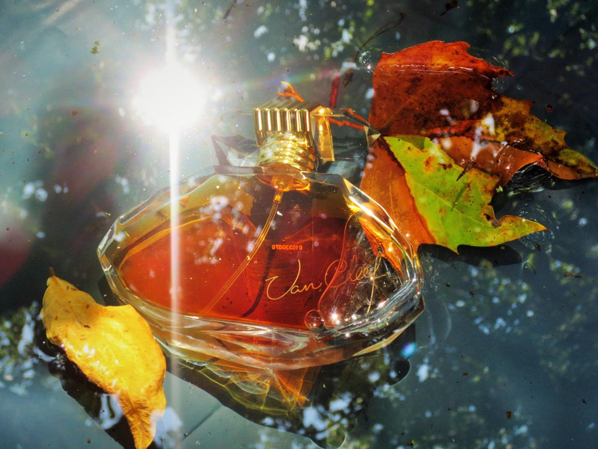 Van Cleef Van Cleef & Arpels perfume - a fragrance for women 1993