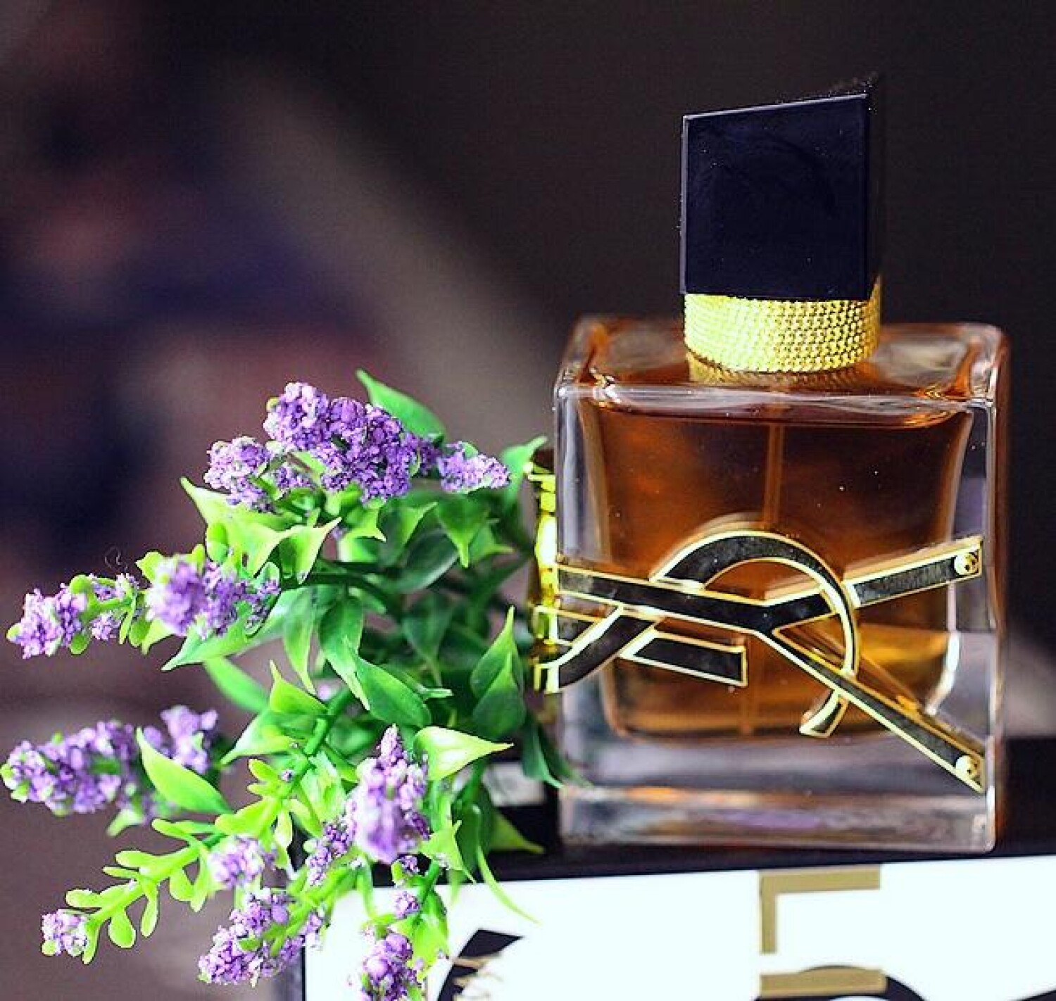 Libre Intense Yves Saint Laurent perfume - a fragrance for women 2020
