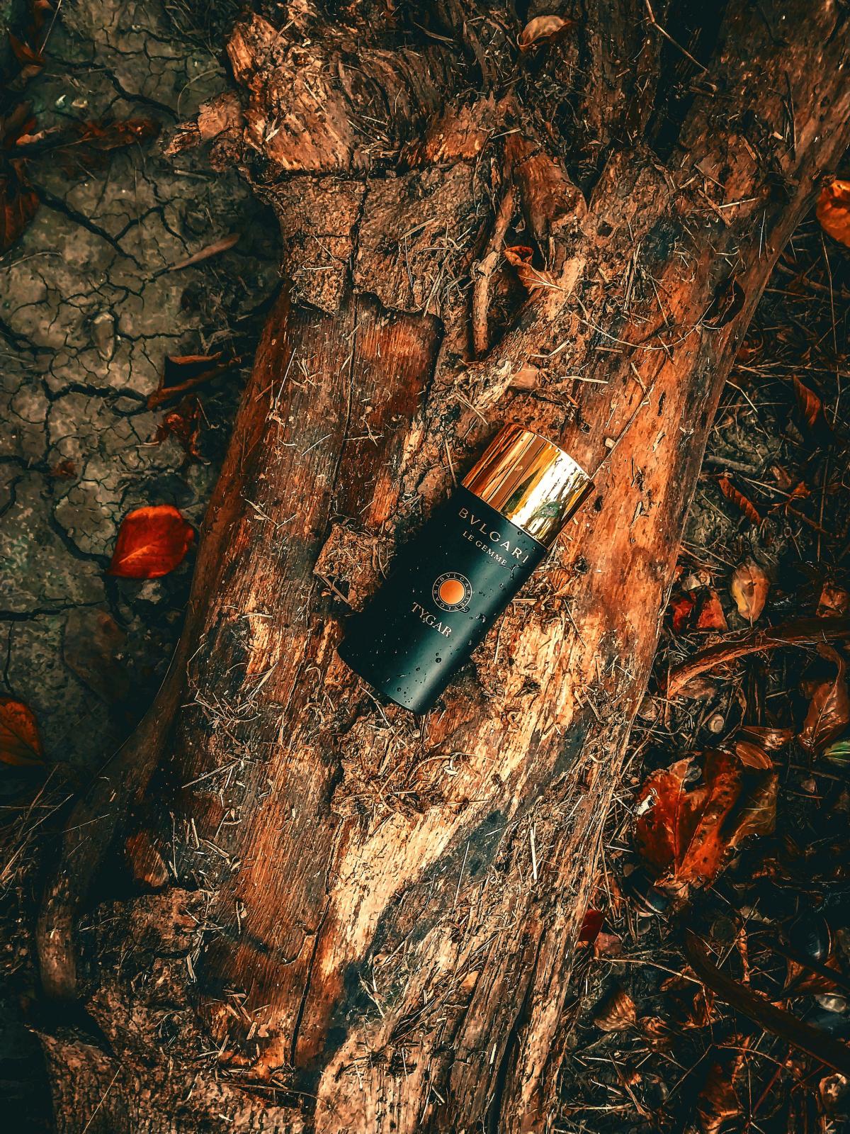 Tygar Bvlgari cologne - a fragrance for men 2016