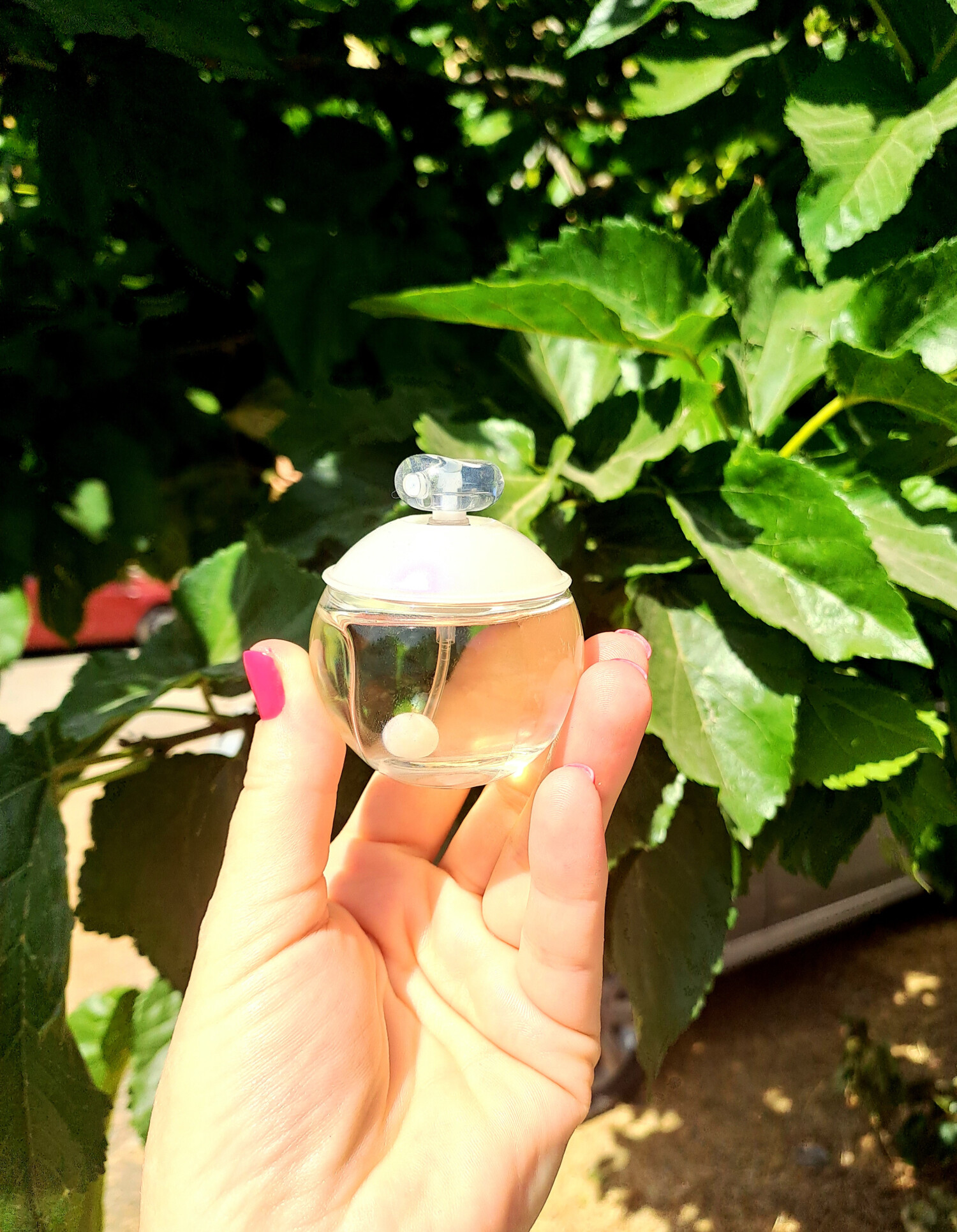 Noa Cacharel perfume - a fragrance for women 1998