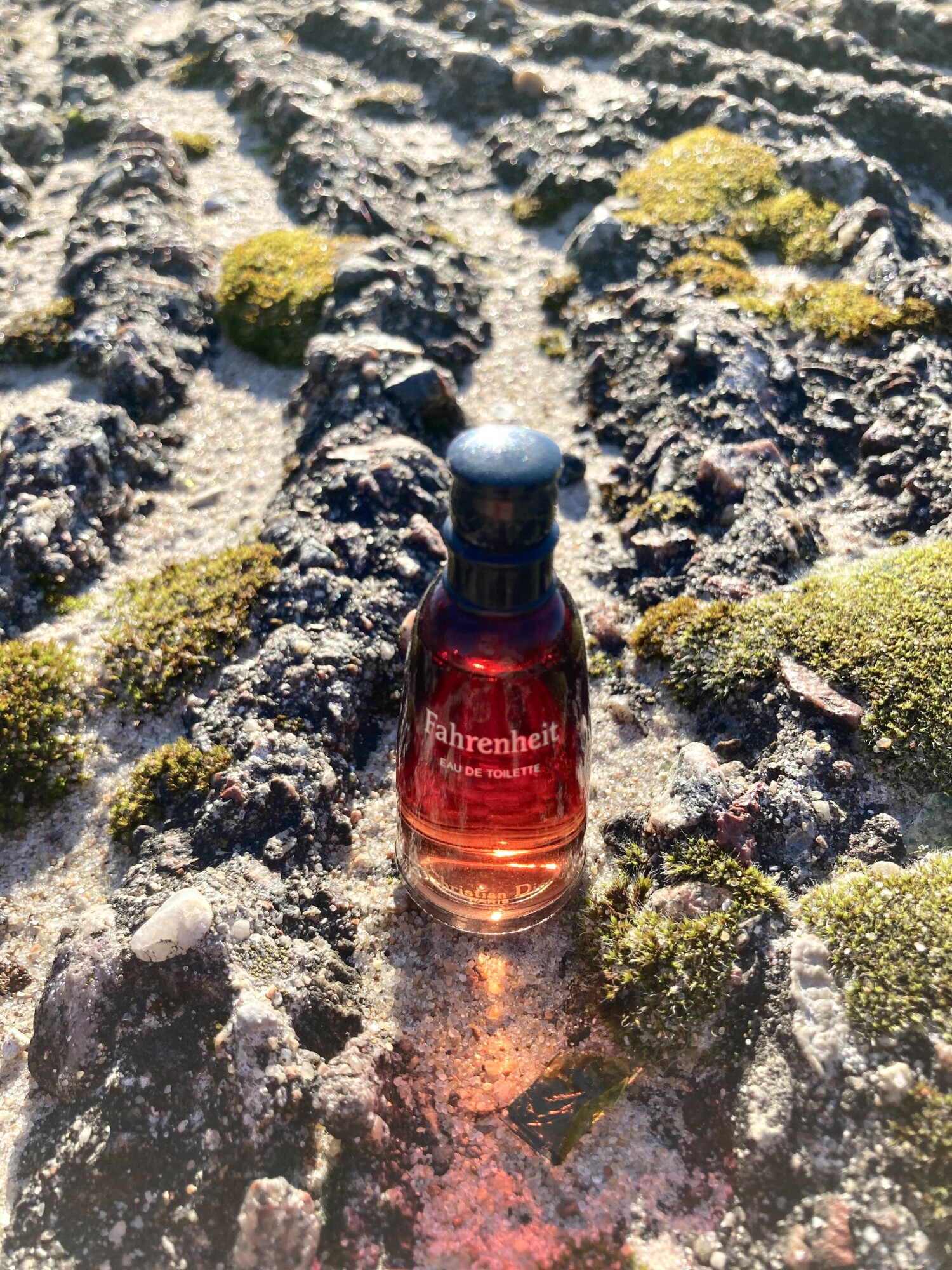 Fahrenheit Dior cologne - a fragrance for men 1988