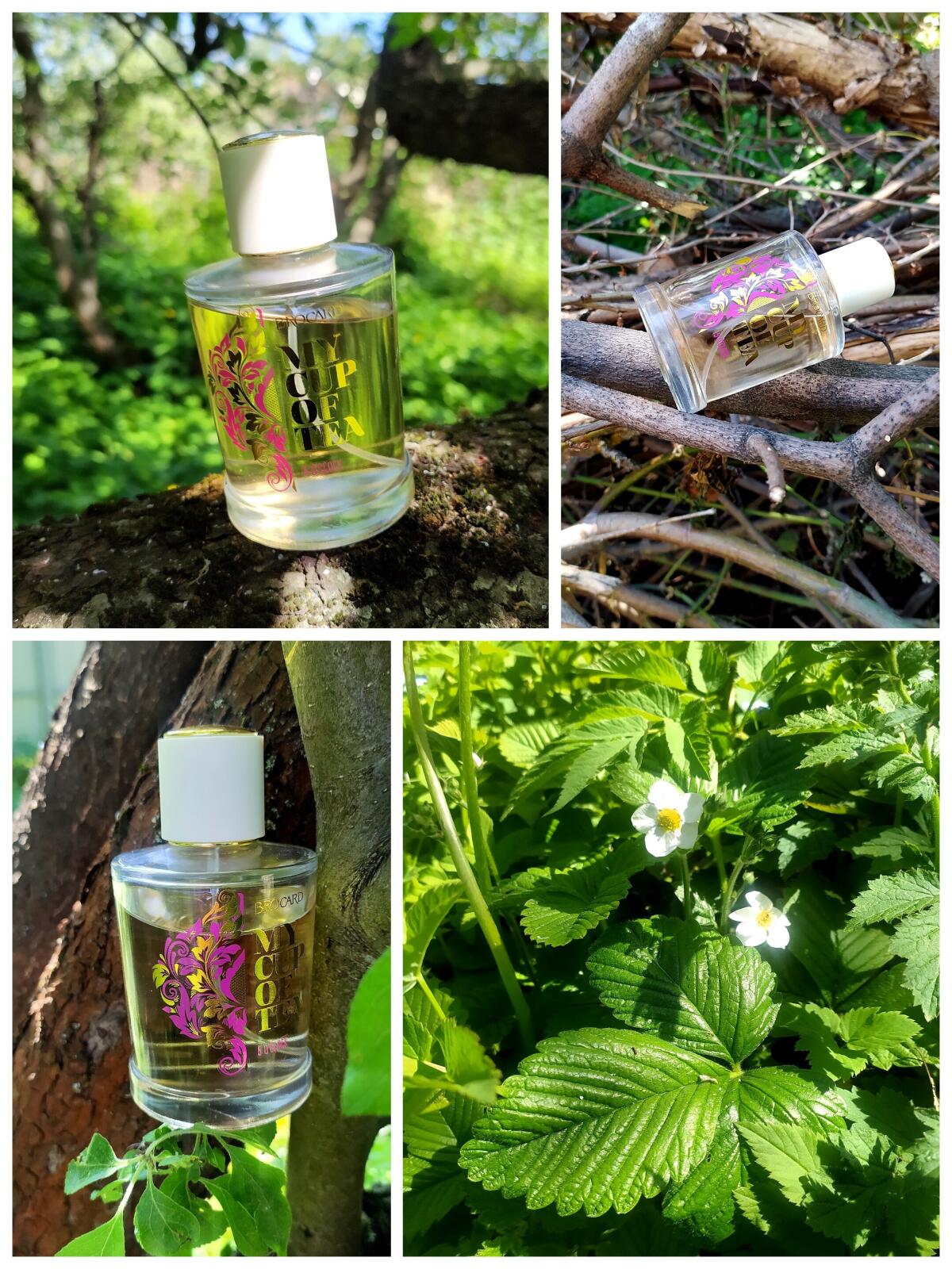 5 O'Clock Brocard perfume - a fragrance for women 2019