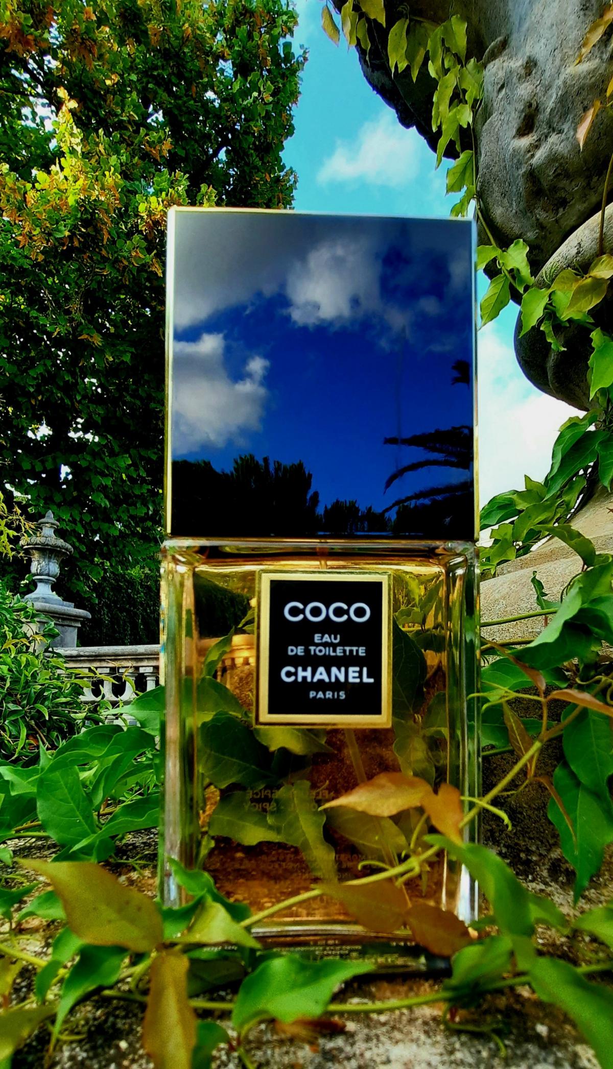 Coco Eau de Toilette Chanel perfume - a fragrance for women
