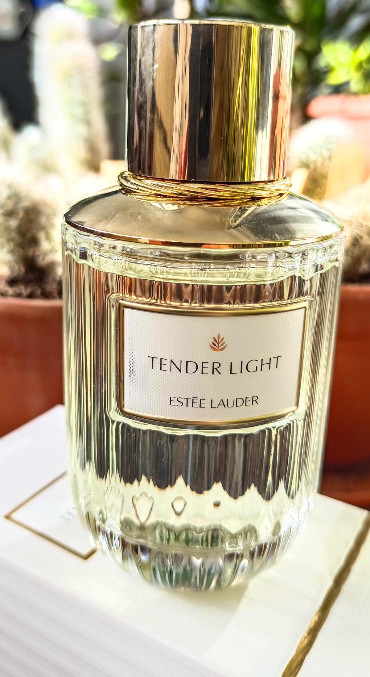 Tender Light Estée Lauder perfume - a new fragrance for women and men 2021