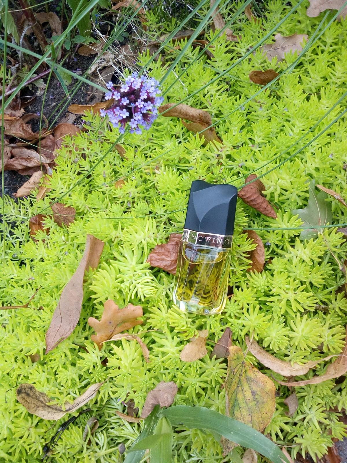 Knowing Estée Lauder perfume - a fragrance for women 1988