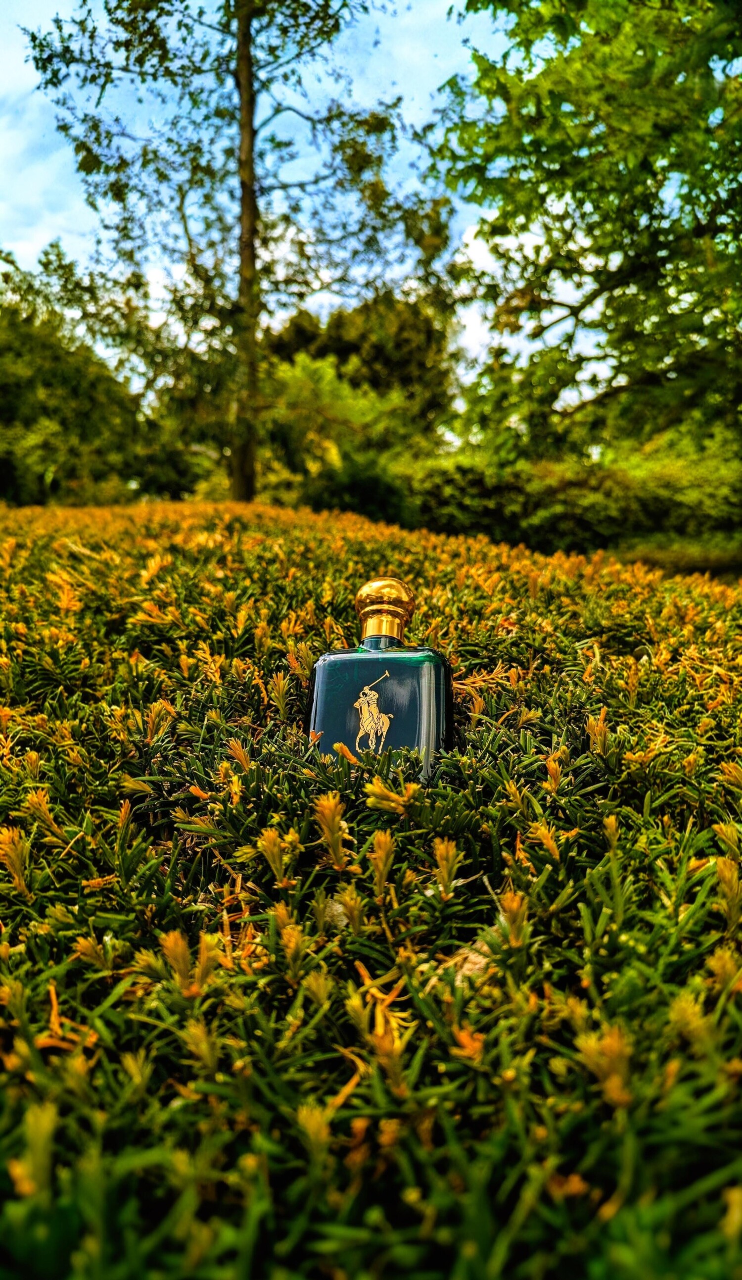 Polo Ralph Lauren Colônia - a fragrância Masculino 1978