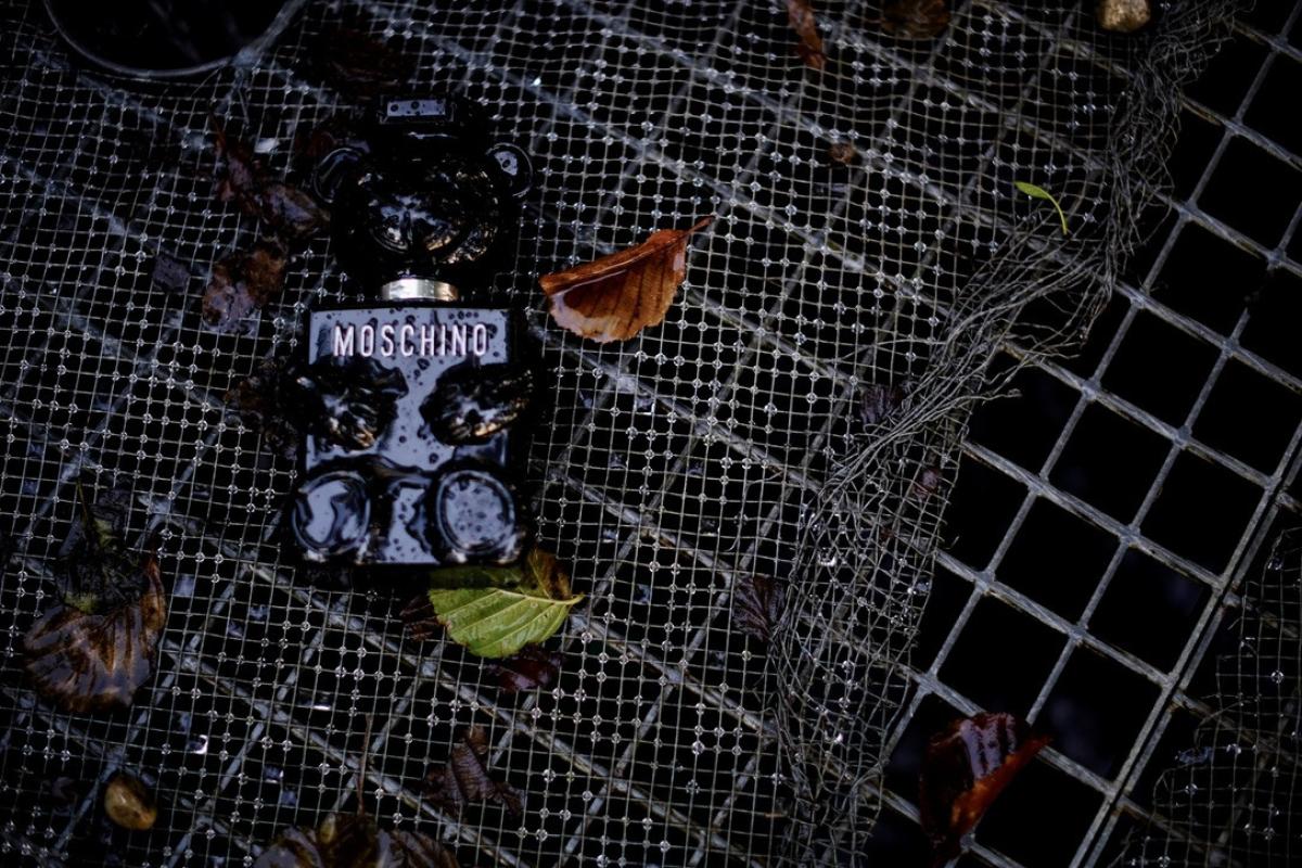 Toy Boy Moschino cologne - a fragrance for men 2019