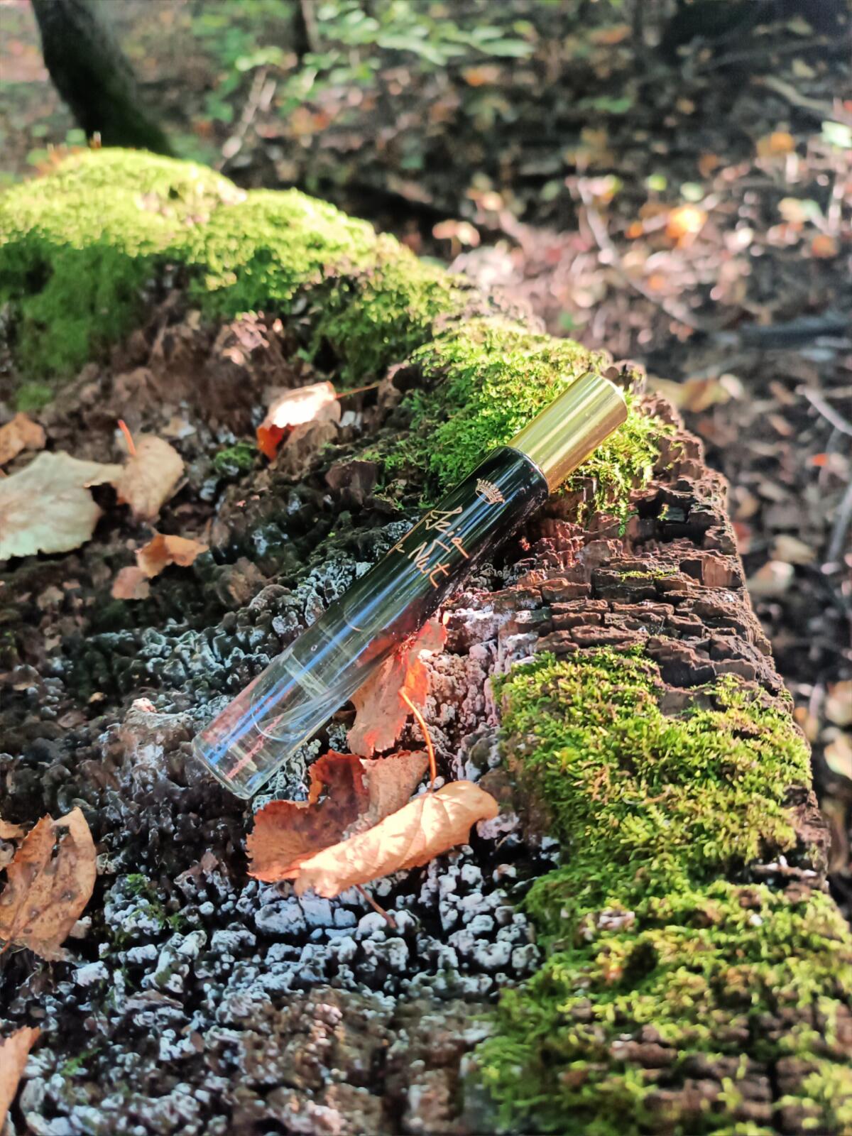 Izia La Nuit Sisley perfume - a fragrance for women 2021