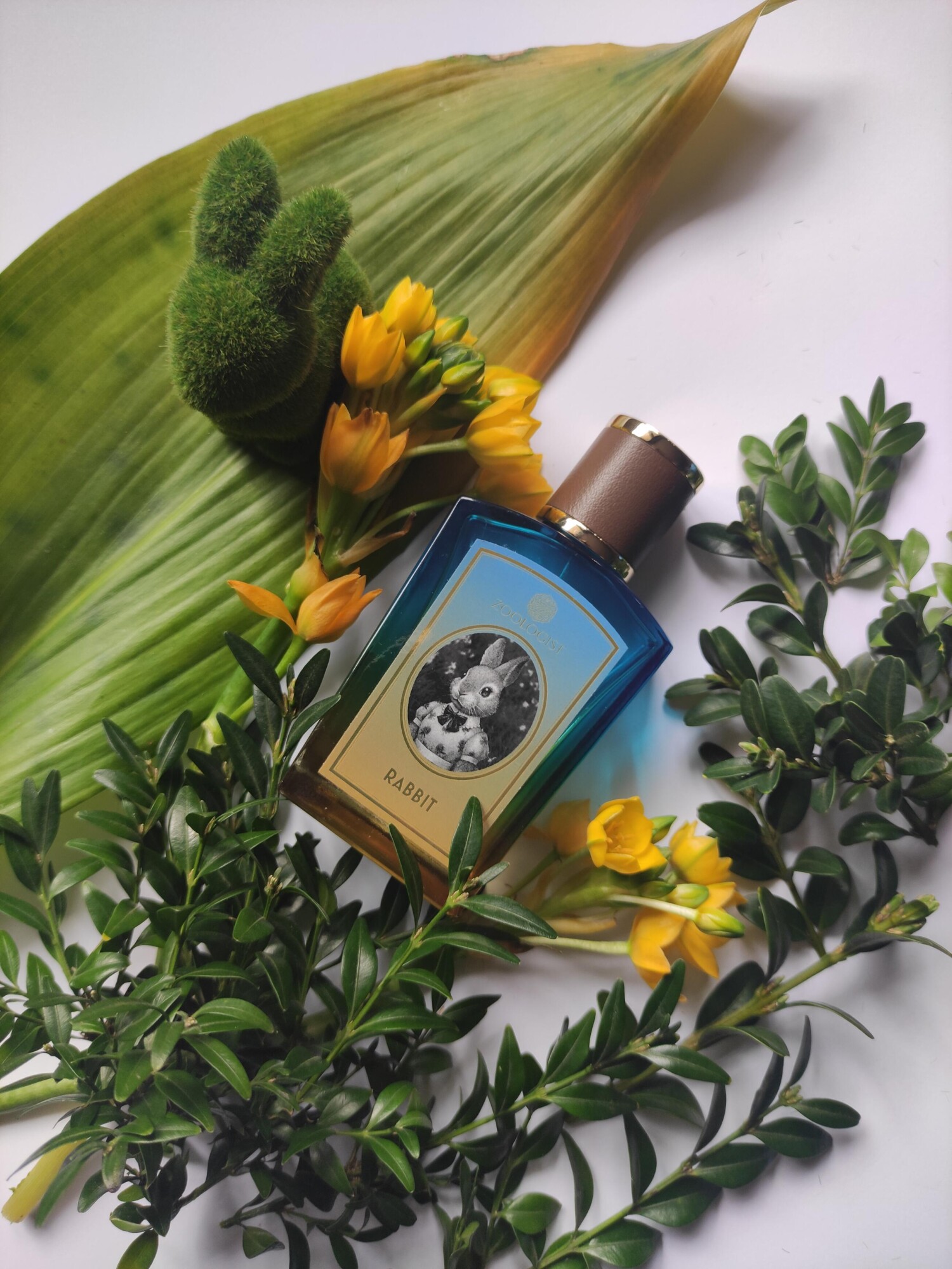 Rabbit Zoologist Perfumes perfume - a fragrance for women and men 2024