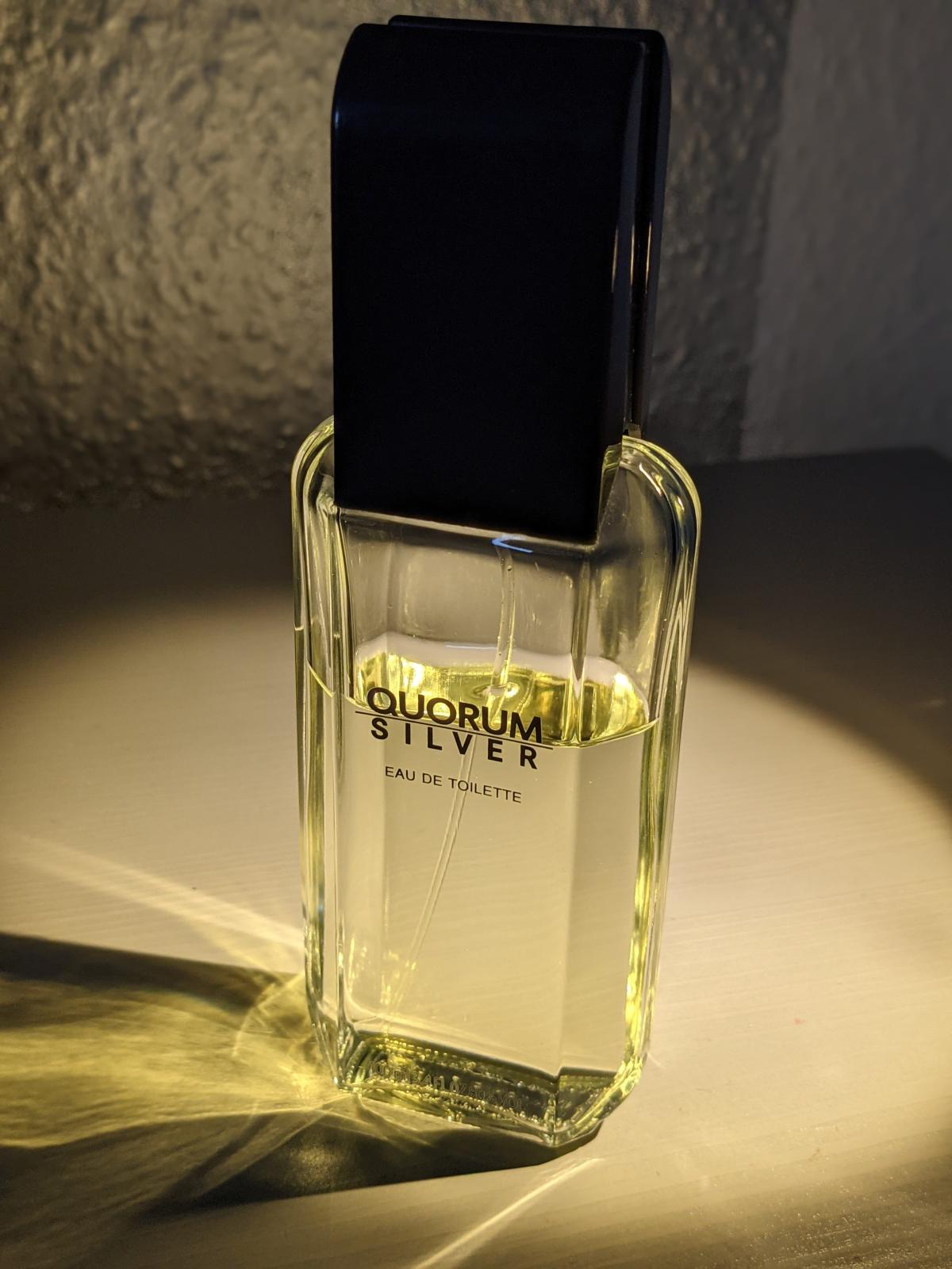 Quorum Silver Antonio Puig cologne - a fragrance for men 2005