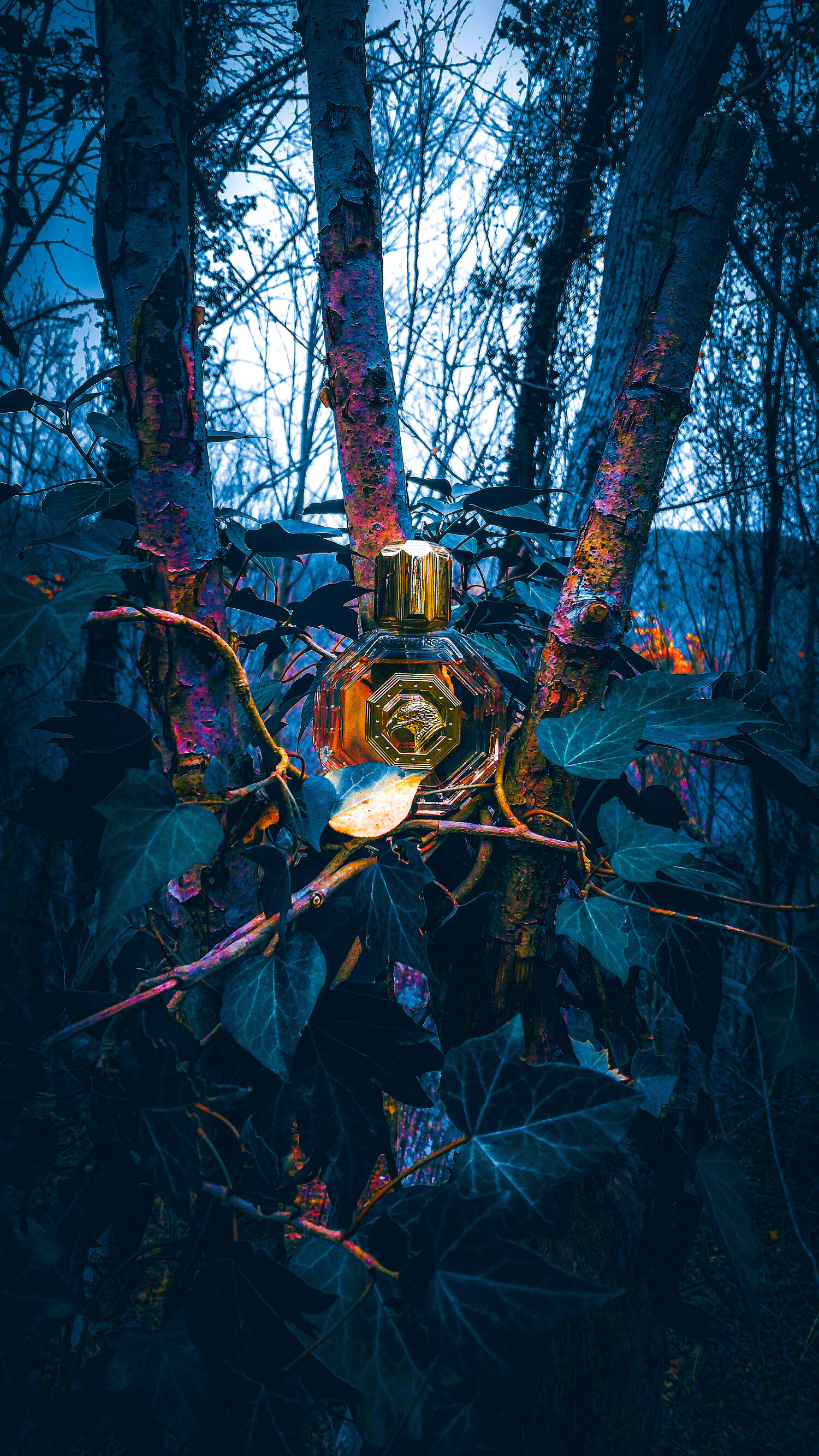 Royal Eagle Gold Stefano Ricci cologne - a fragrance for men