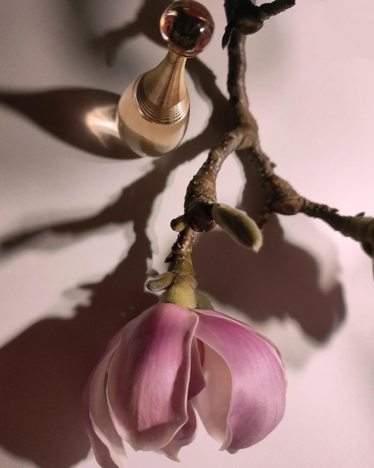 J'Adore Infinissime Dior perfume - a fragrance for women 2020